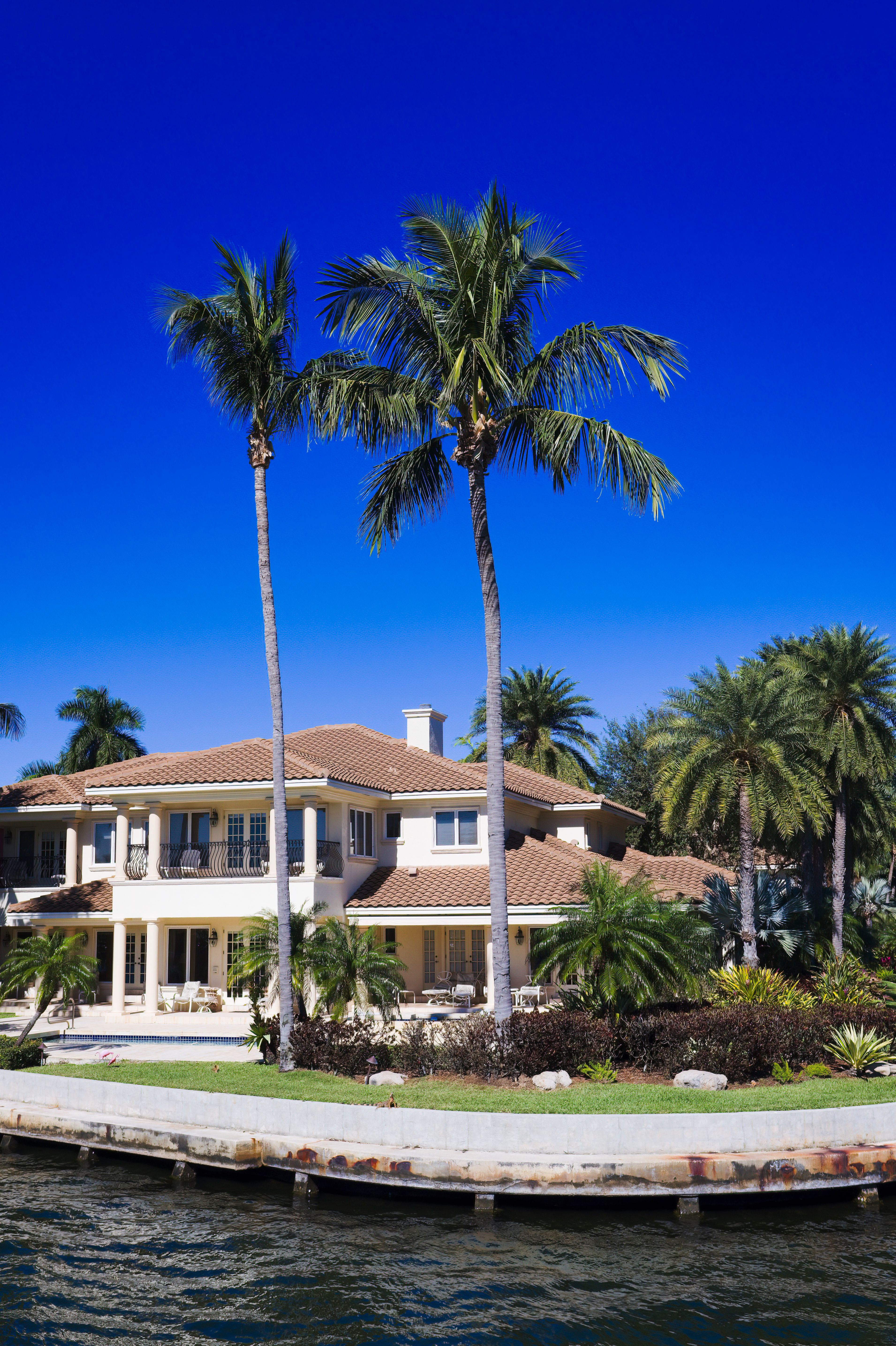 Palms in Front of House Building in California · Free Stock Photo