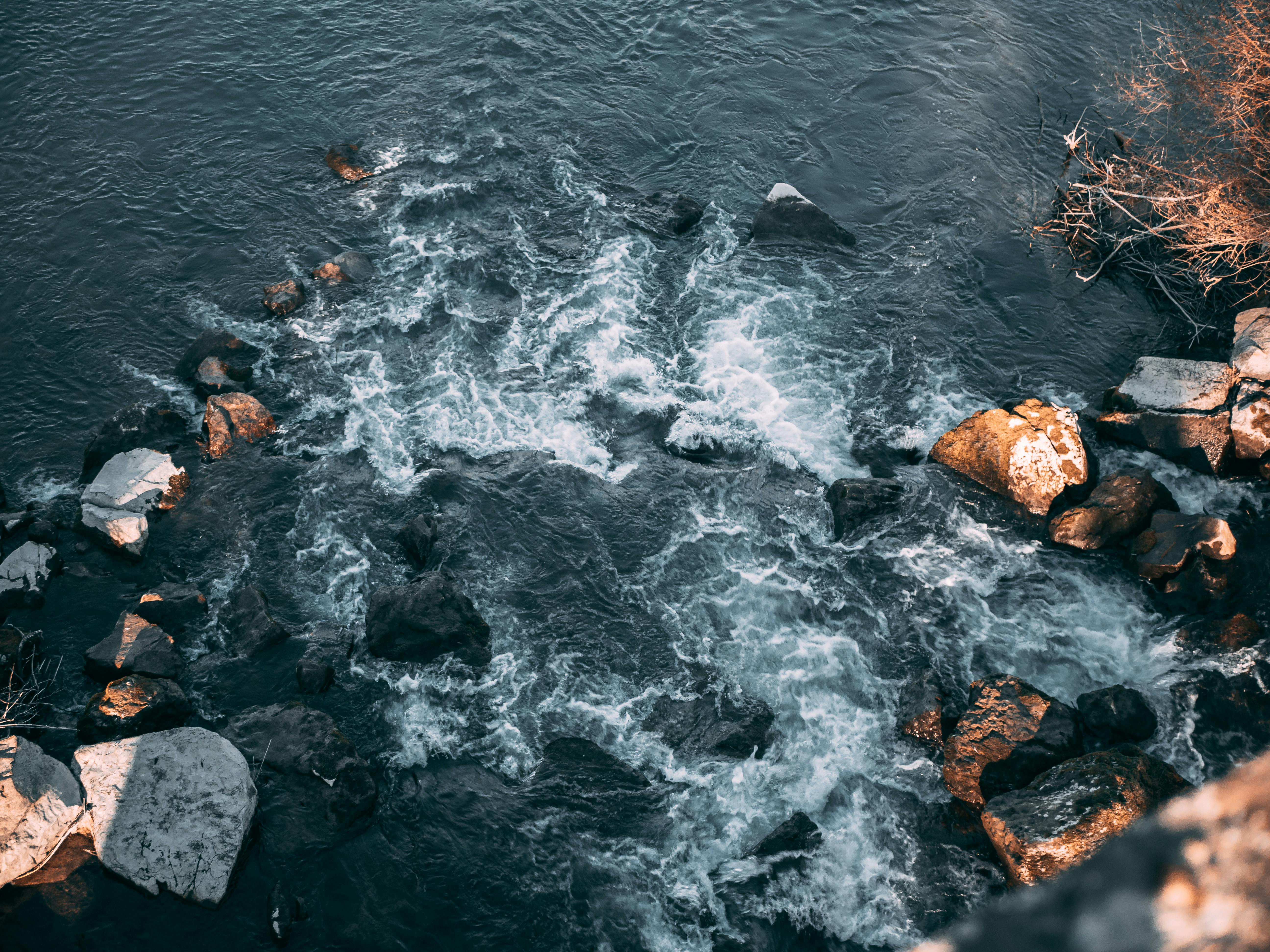 Free stock photo of adventure, air, apron, aquatic, beautiful, bottom ...