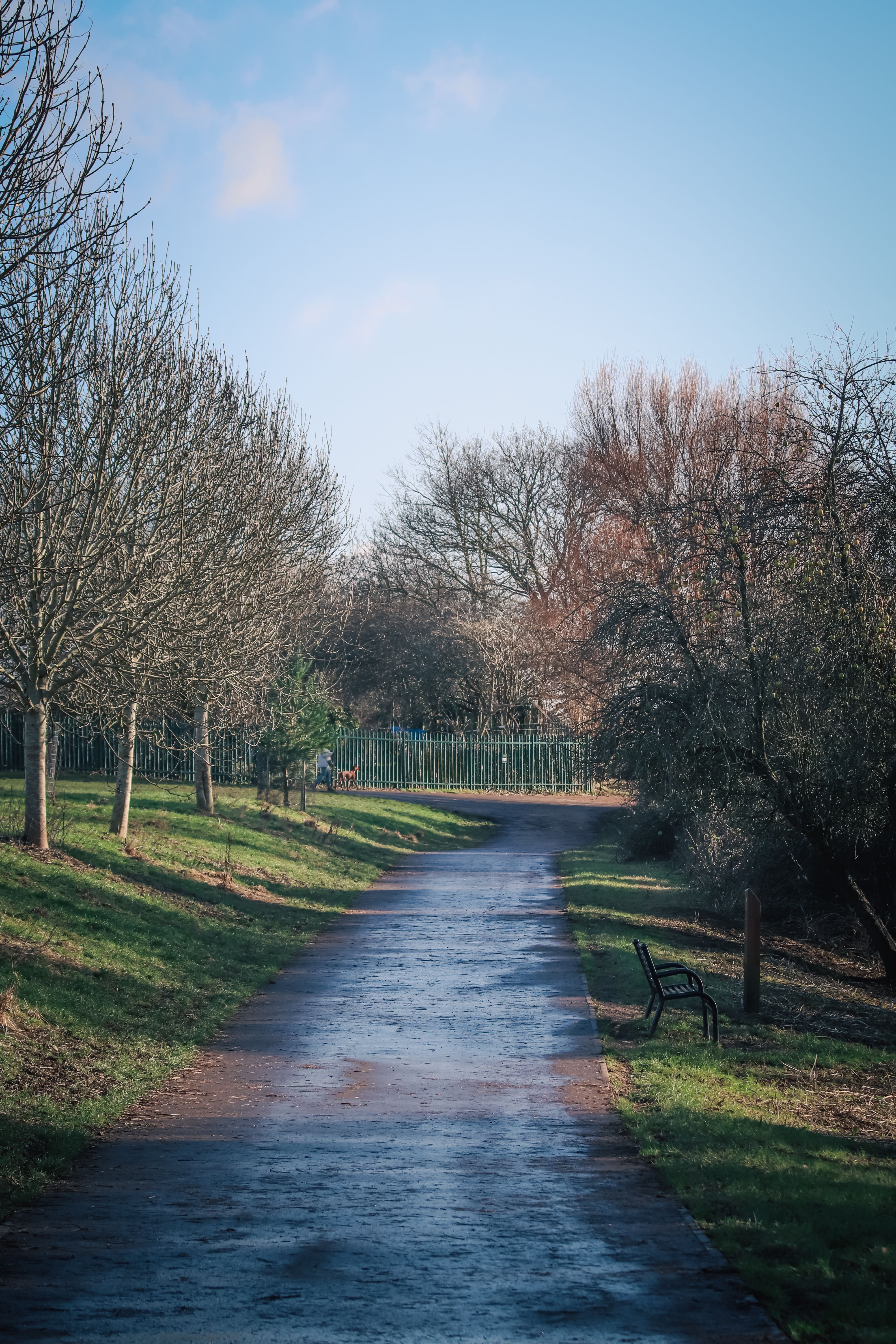 Road in Countryside · Free Stock Photo