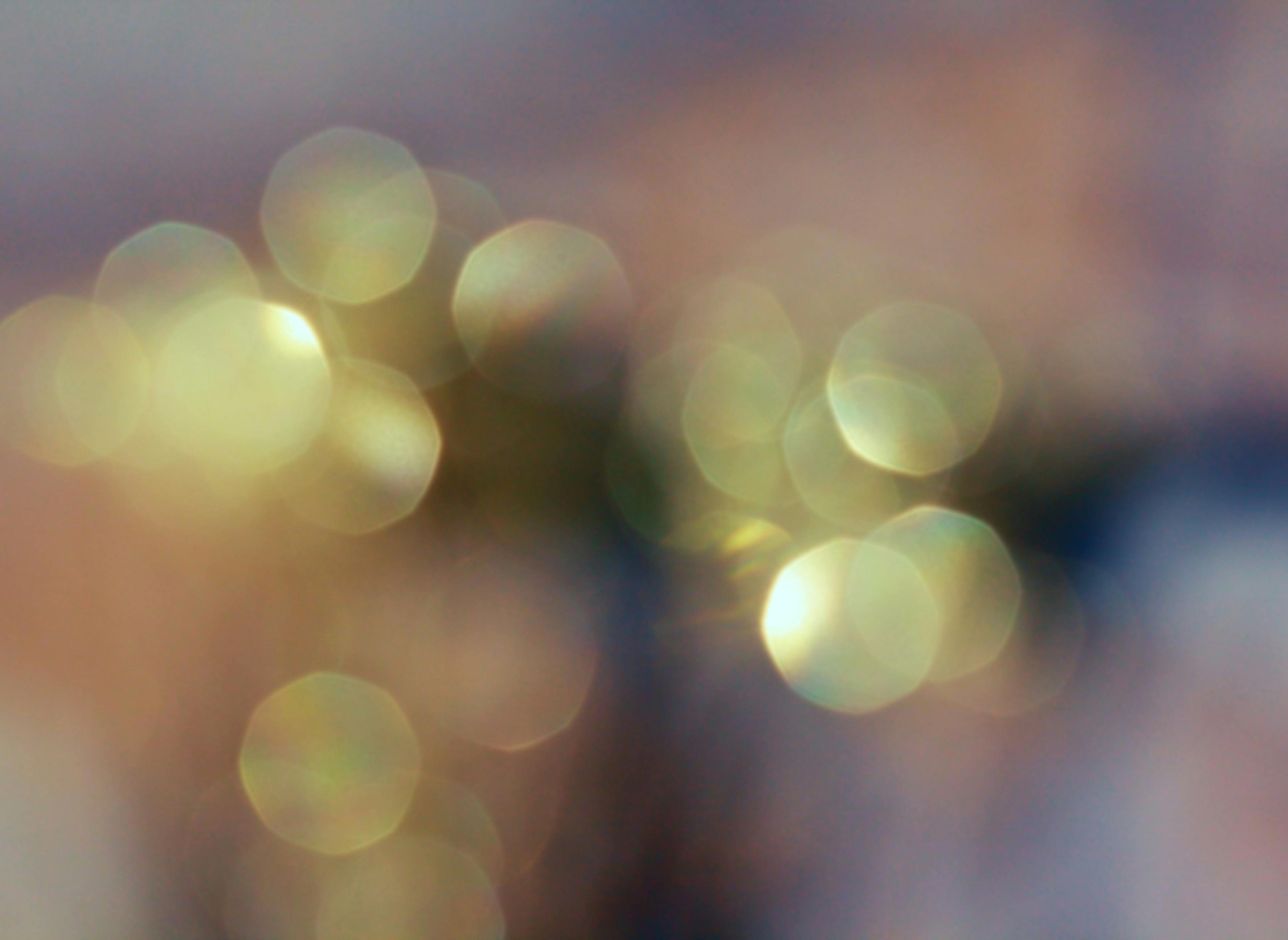 Bokeh 3 Photos & Videos Collected by Ashlee Marie