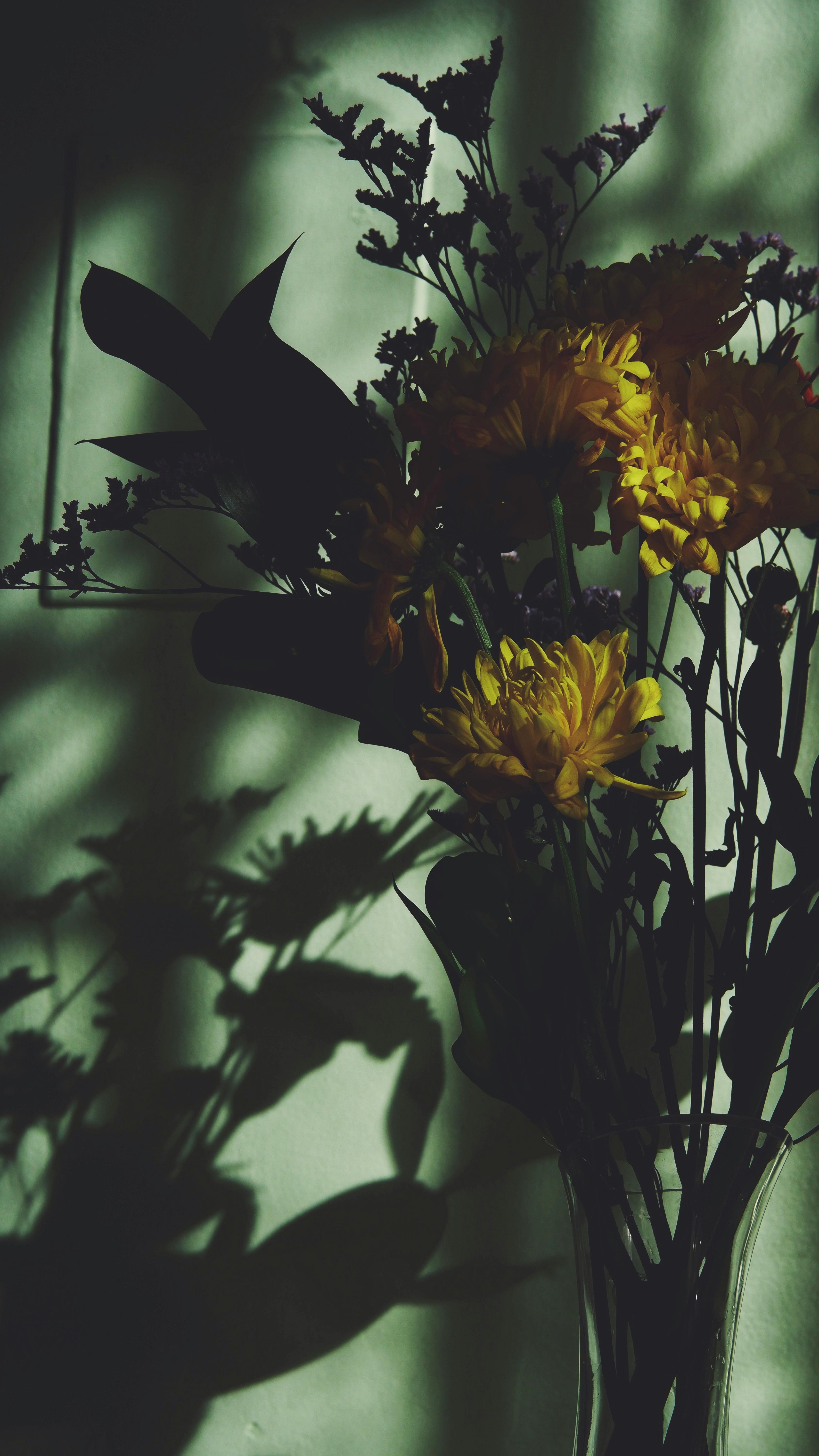 Flowers Vase Photos, Download The BEST Free Flowers Vase Stock Photos ...