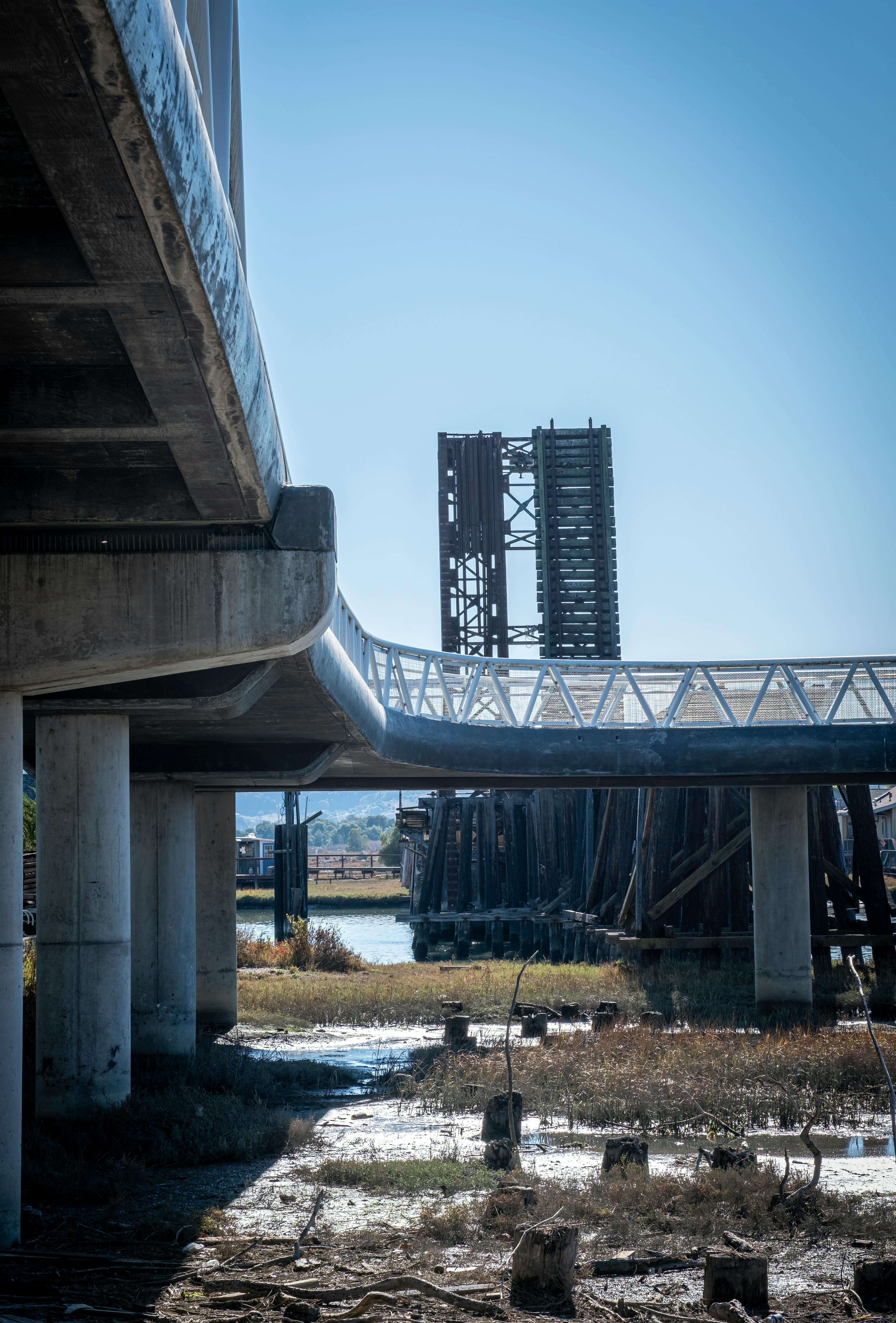 River Piling Photos, Download The BEST Free River Piling Stock Photos ...