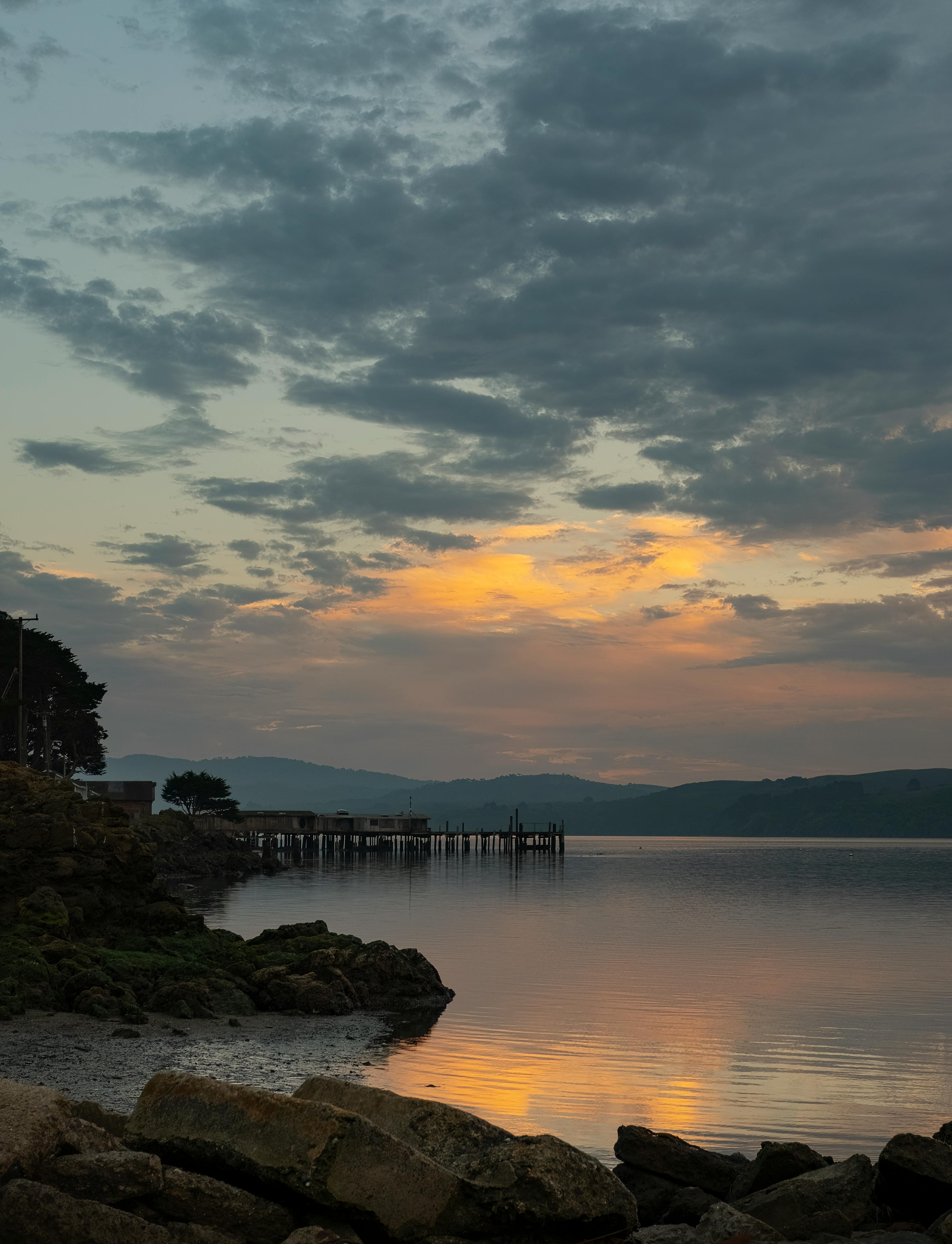Lakeshore in Evening · Free Stock Photo