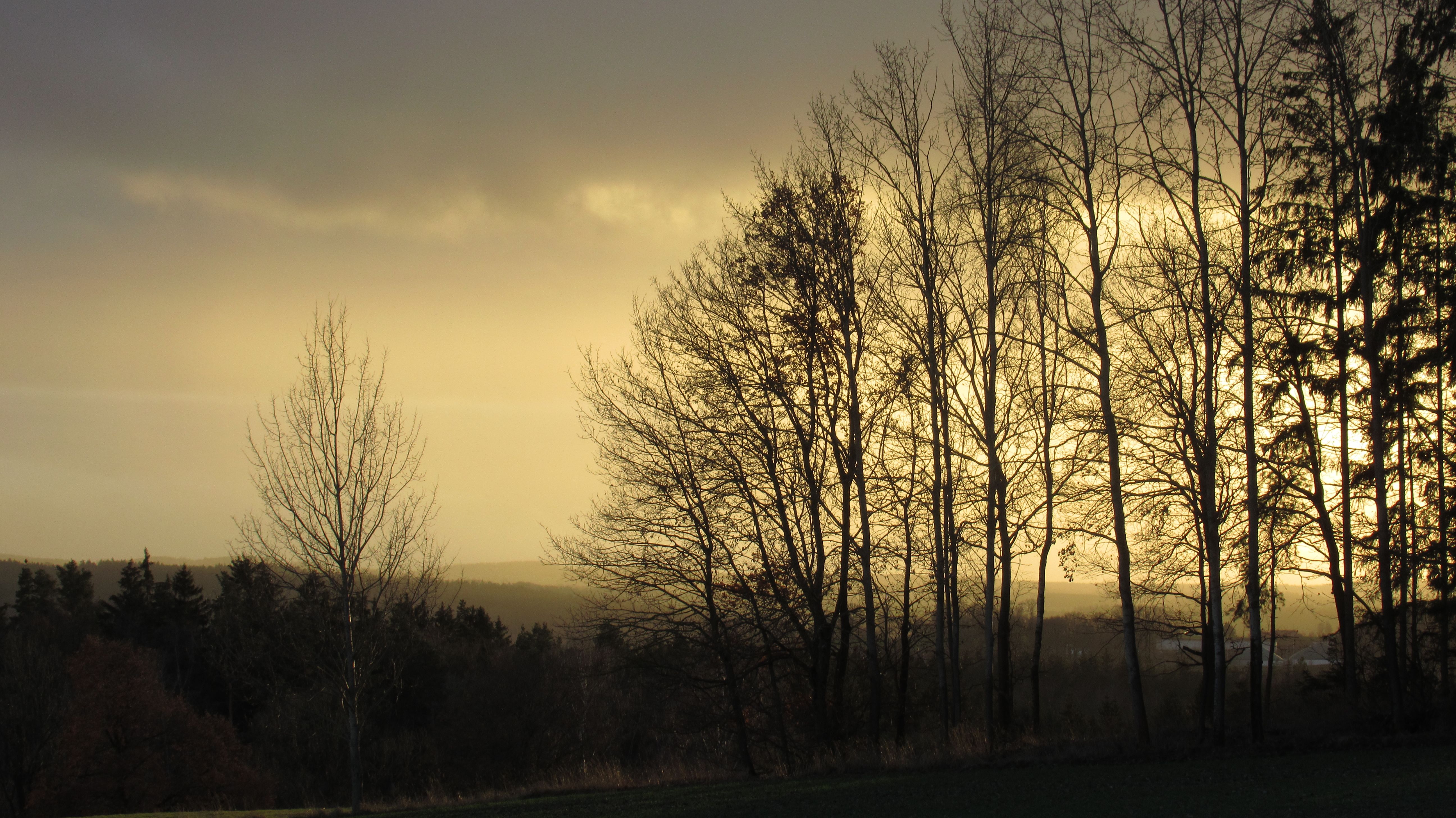 Jan Leichsenring - Photography