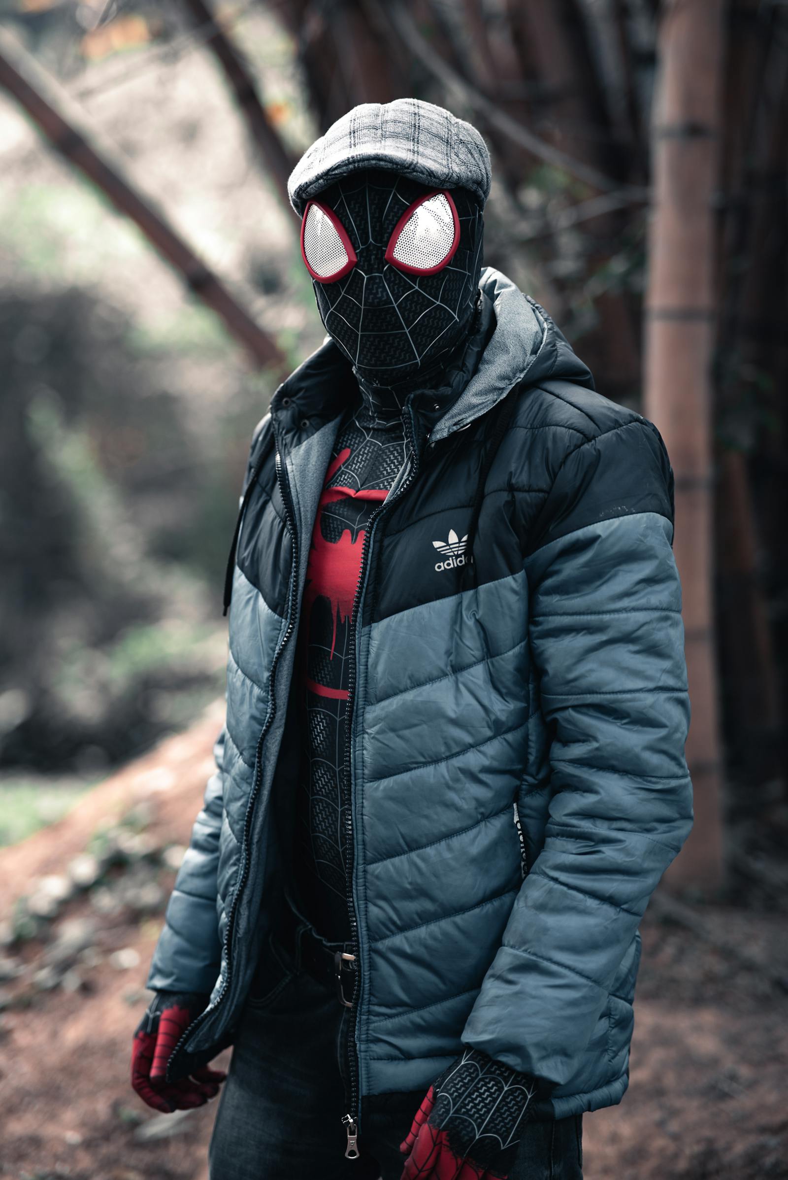 Spider Man Photos, Download The BEST Free Spider Man Stock Photos & HD ...