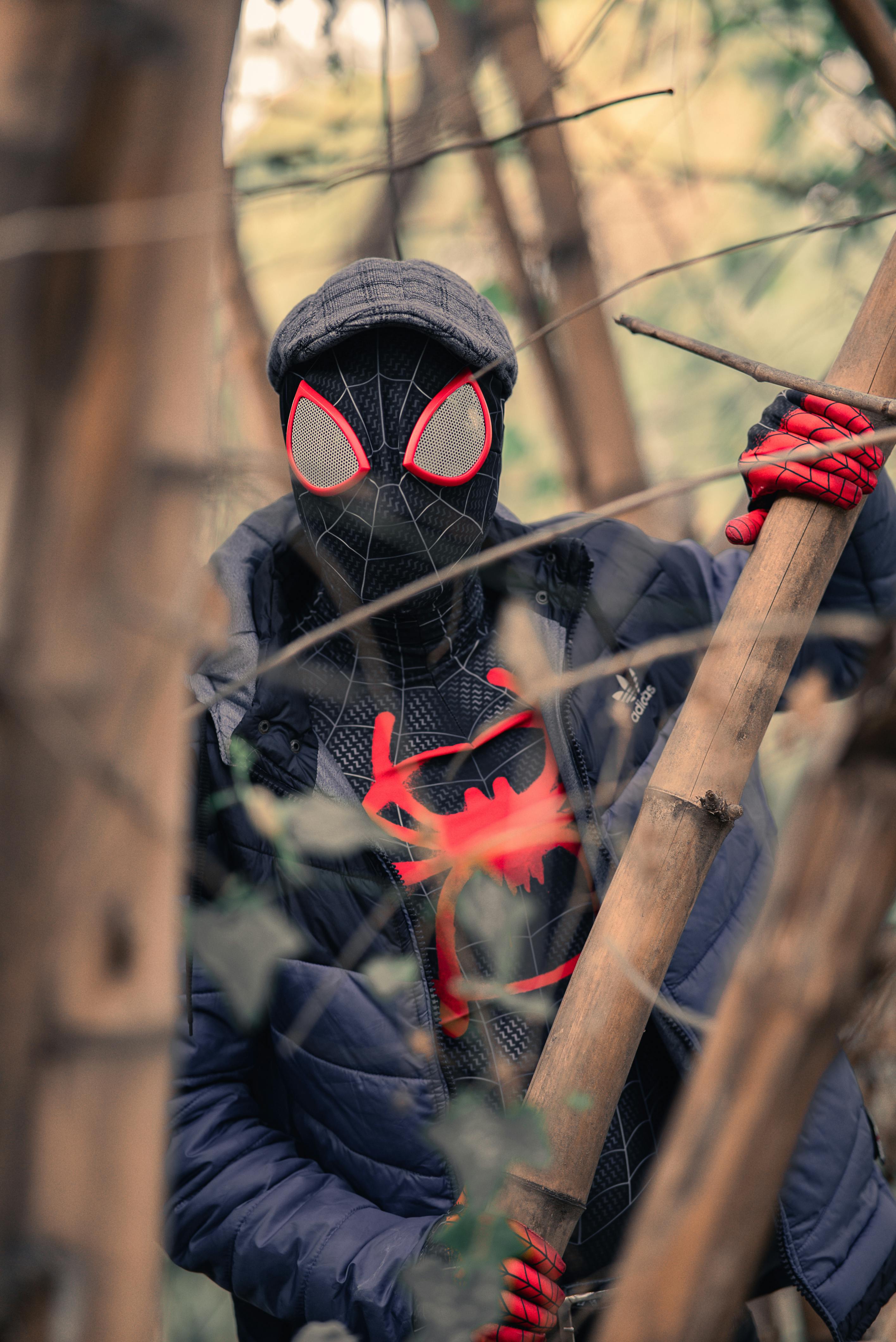 Forest Mask Photos, Download The BEST Free Forest Mask Stock Photos ...