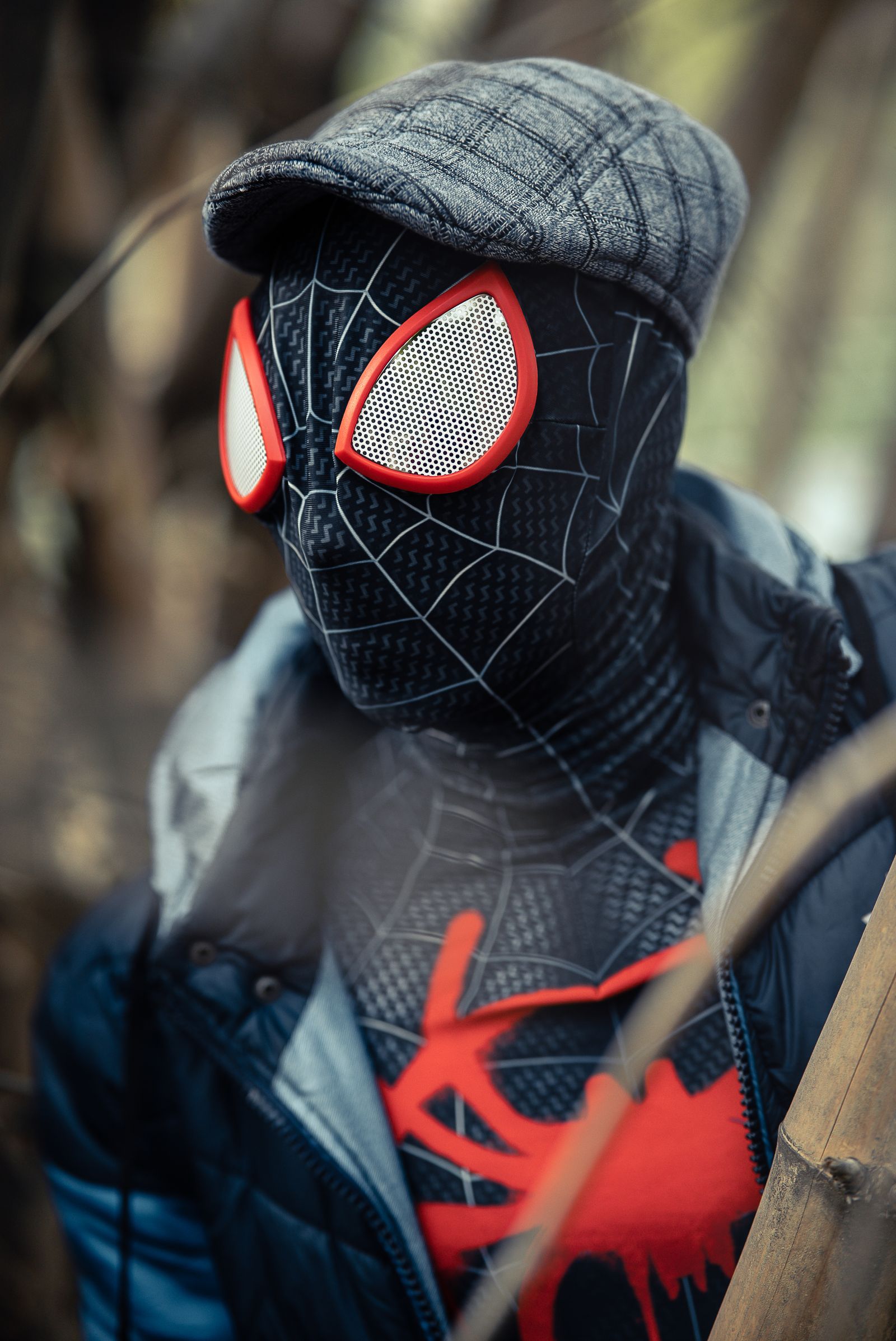 Spider Man Photos, Download The BEST Free Spider Man Stock Photos & HD ...