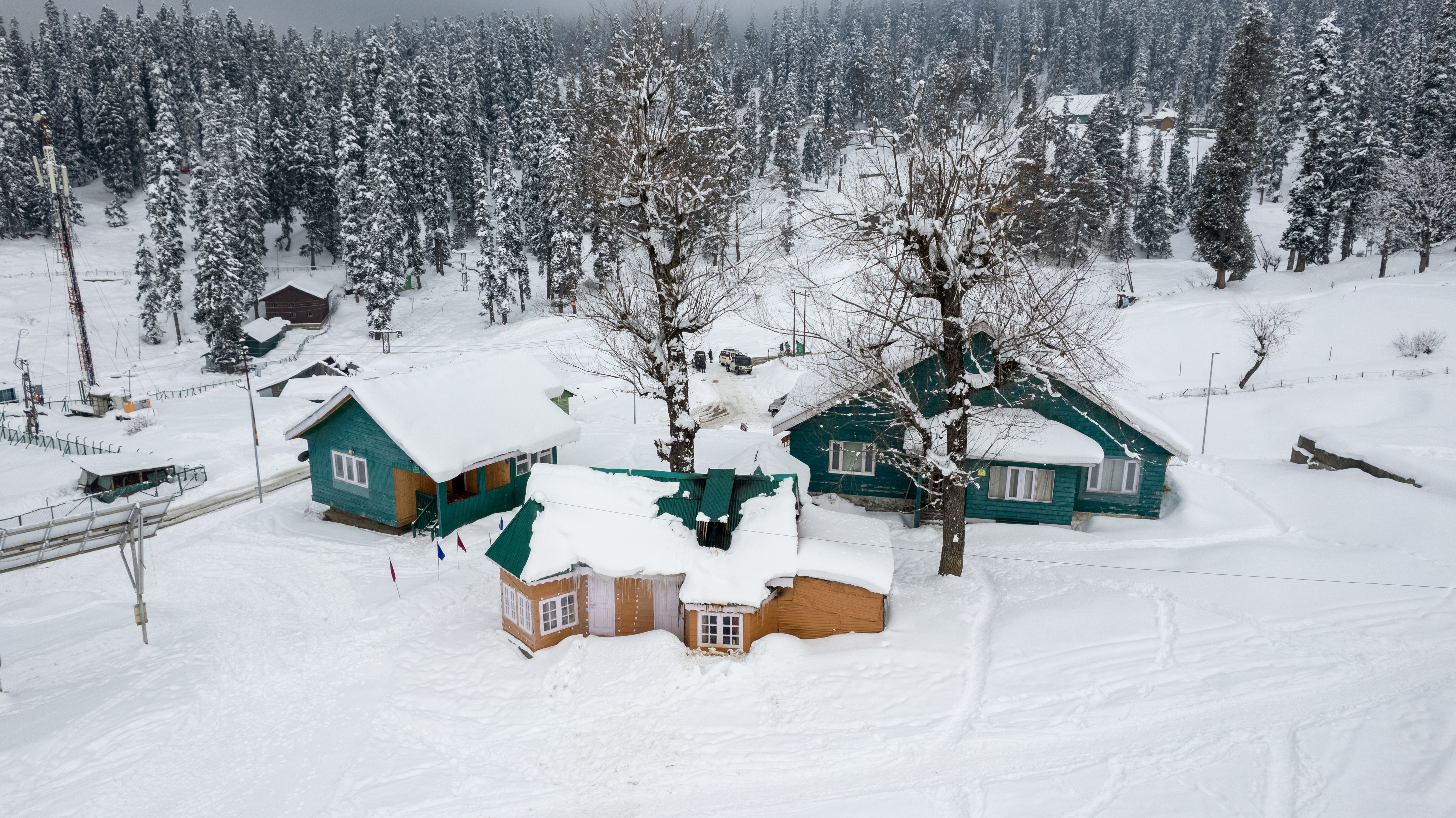 Huts by the Coniferous Forest in Winter · Free Stock Photo
