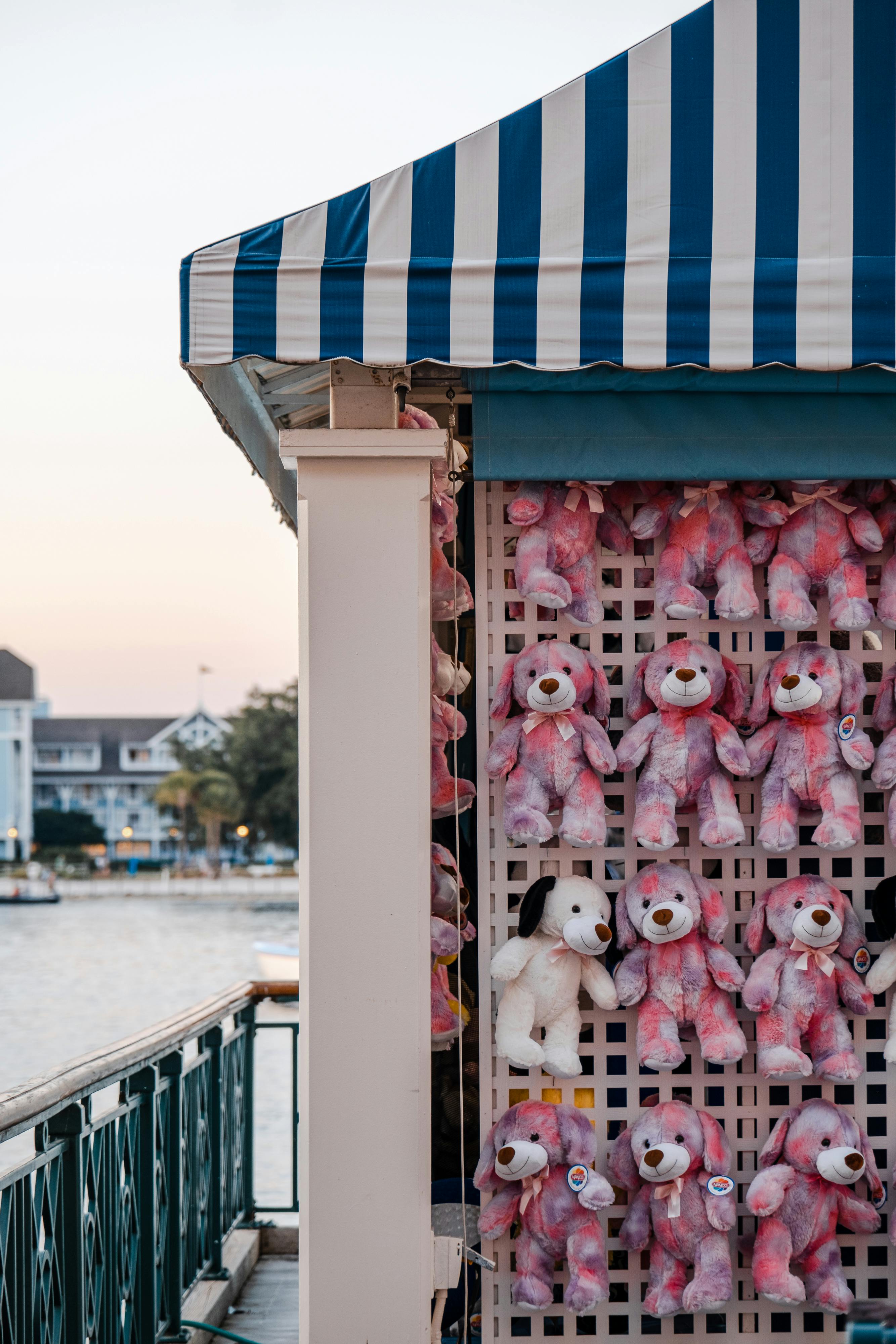 Bear Market Photos, Download The BEST Free Bear Market Stock Photos ...