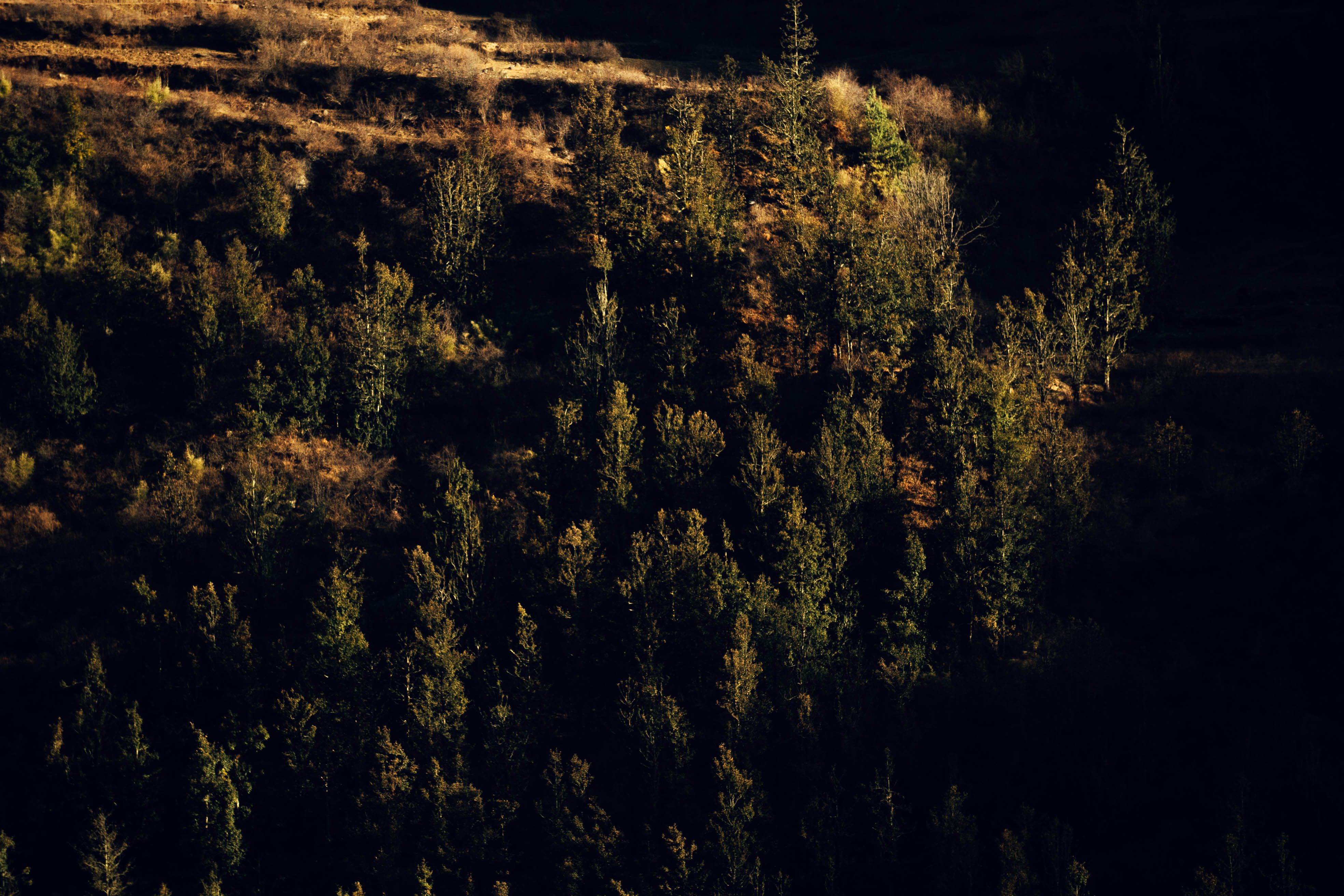 Hill Side Photos, Download The BEST Free Hill Side Stock Photos & HD Images