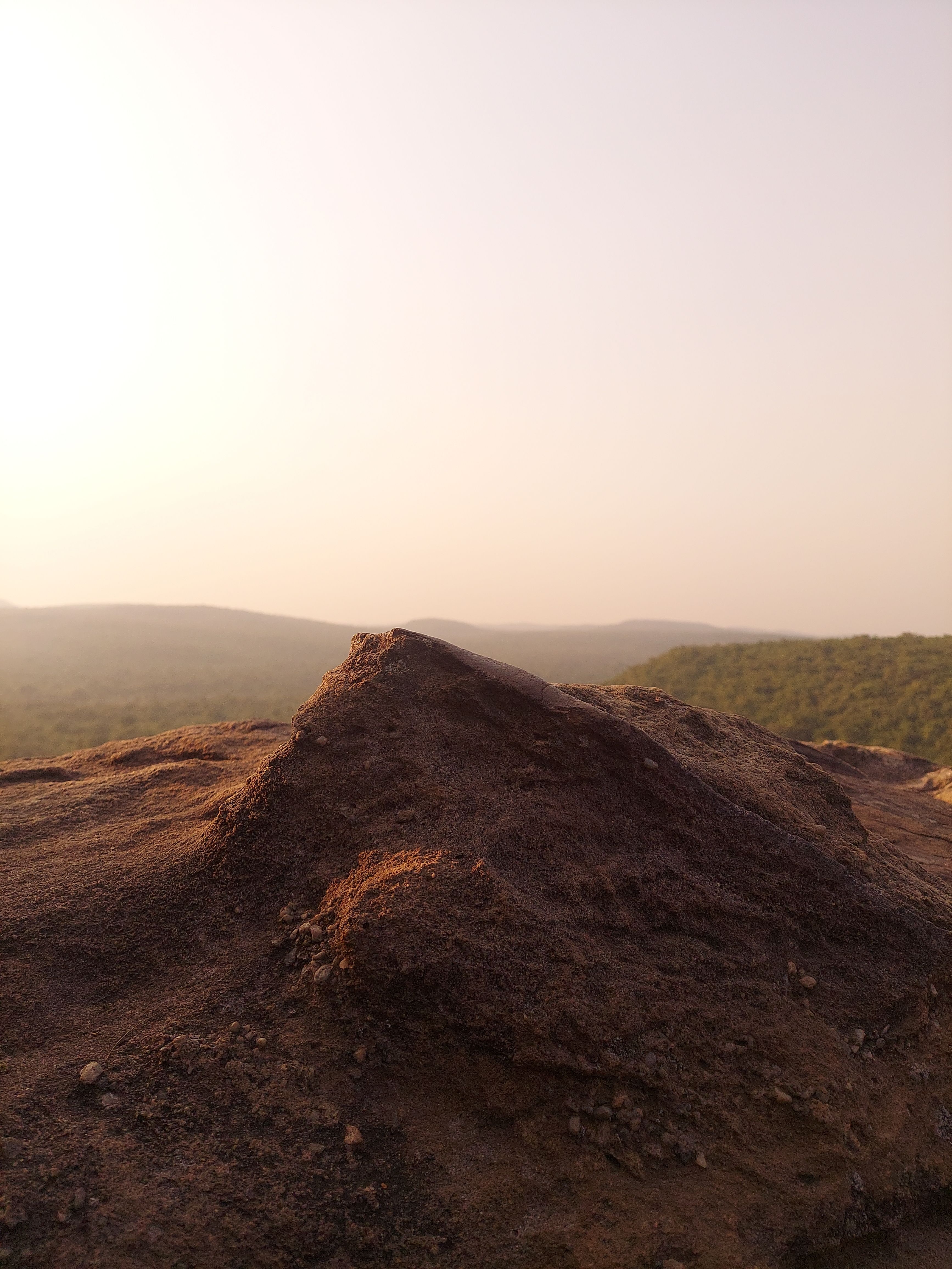 A Mound On The Ground Photos, Download The BEST Free A Mound On The ...
