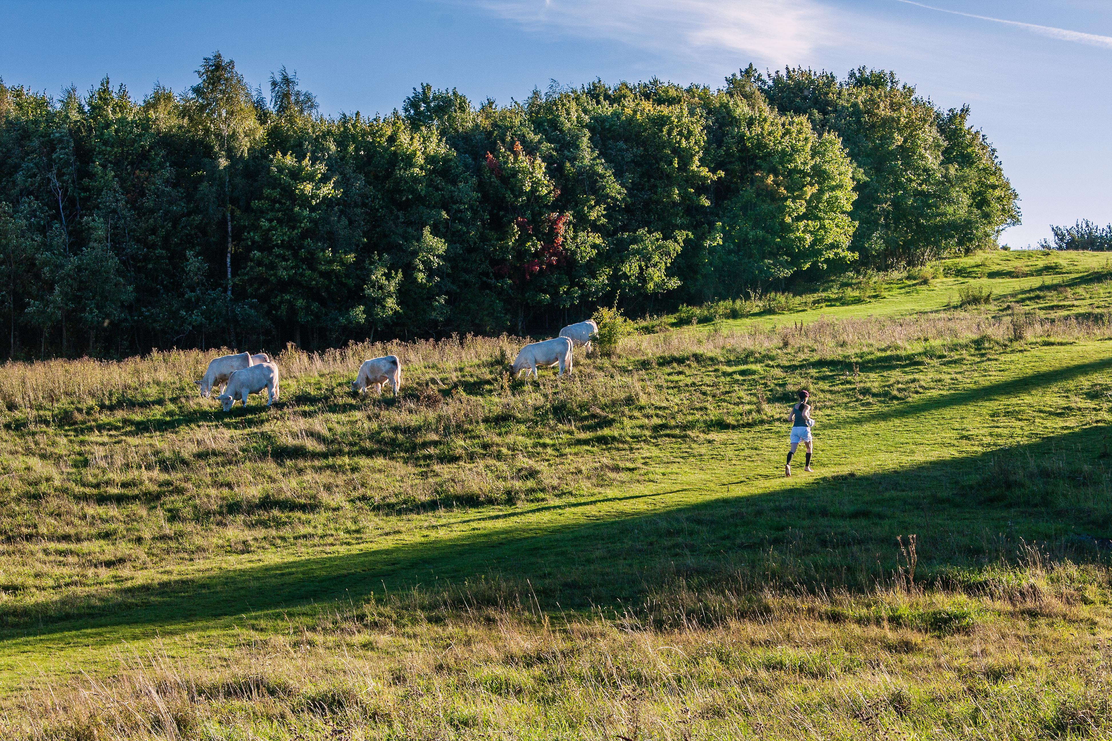 Kenneth Johnson - Photography