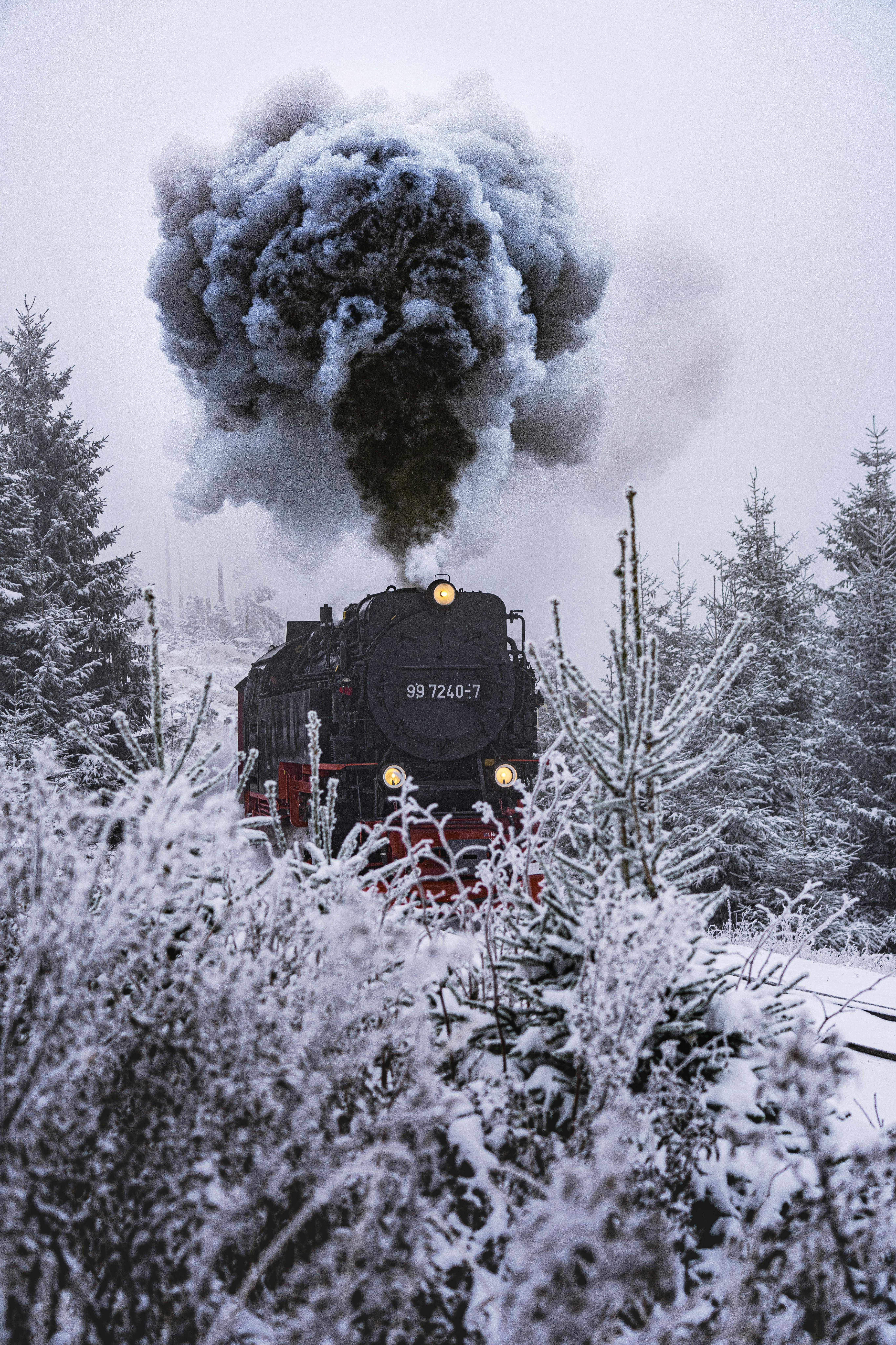 Steam Locomotive Driving through Winter Forest · Free Stock Photo