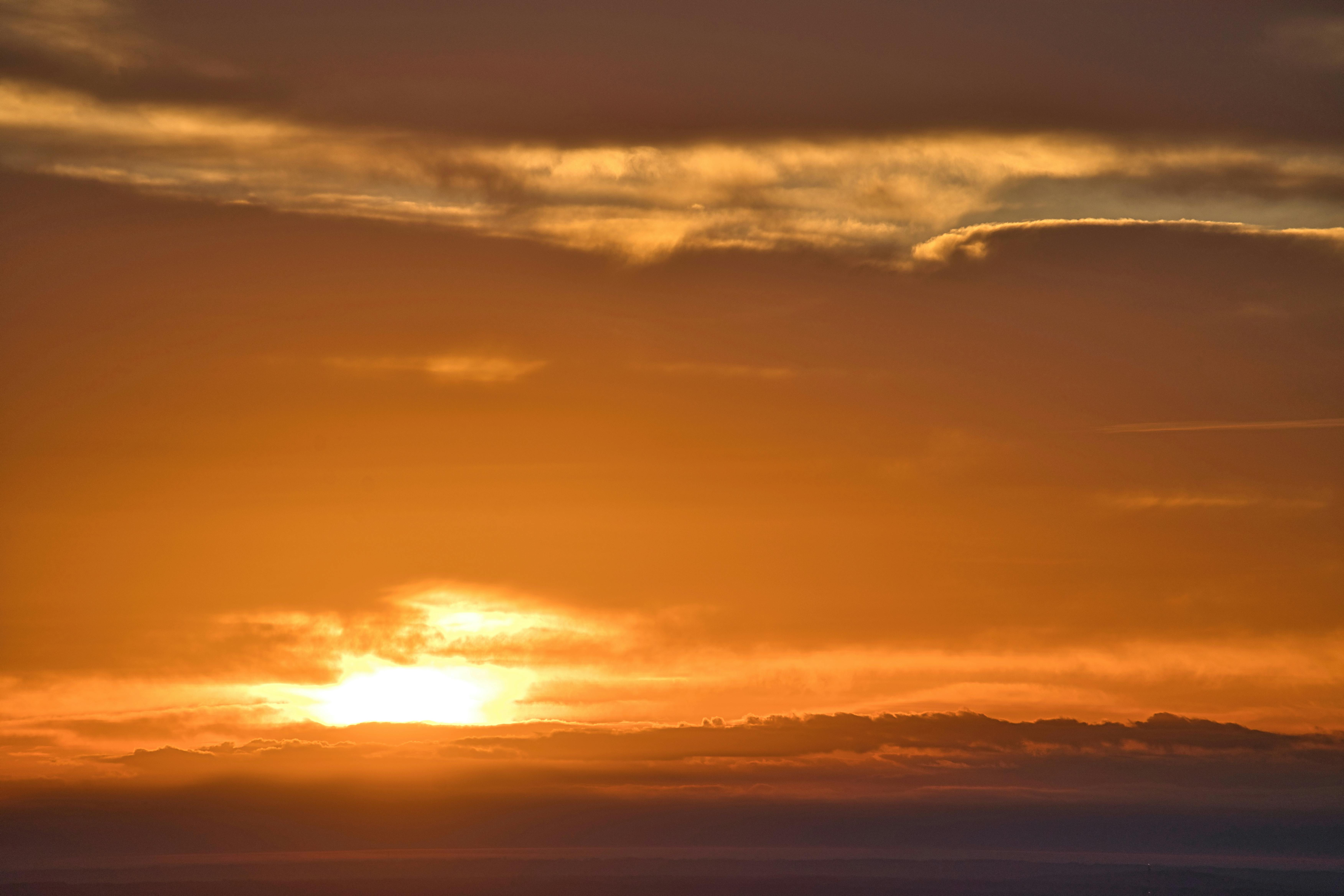 The Golden Hour · Free Stock Photo