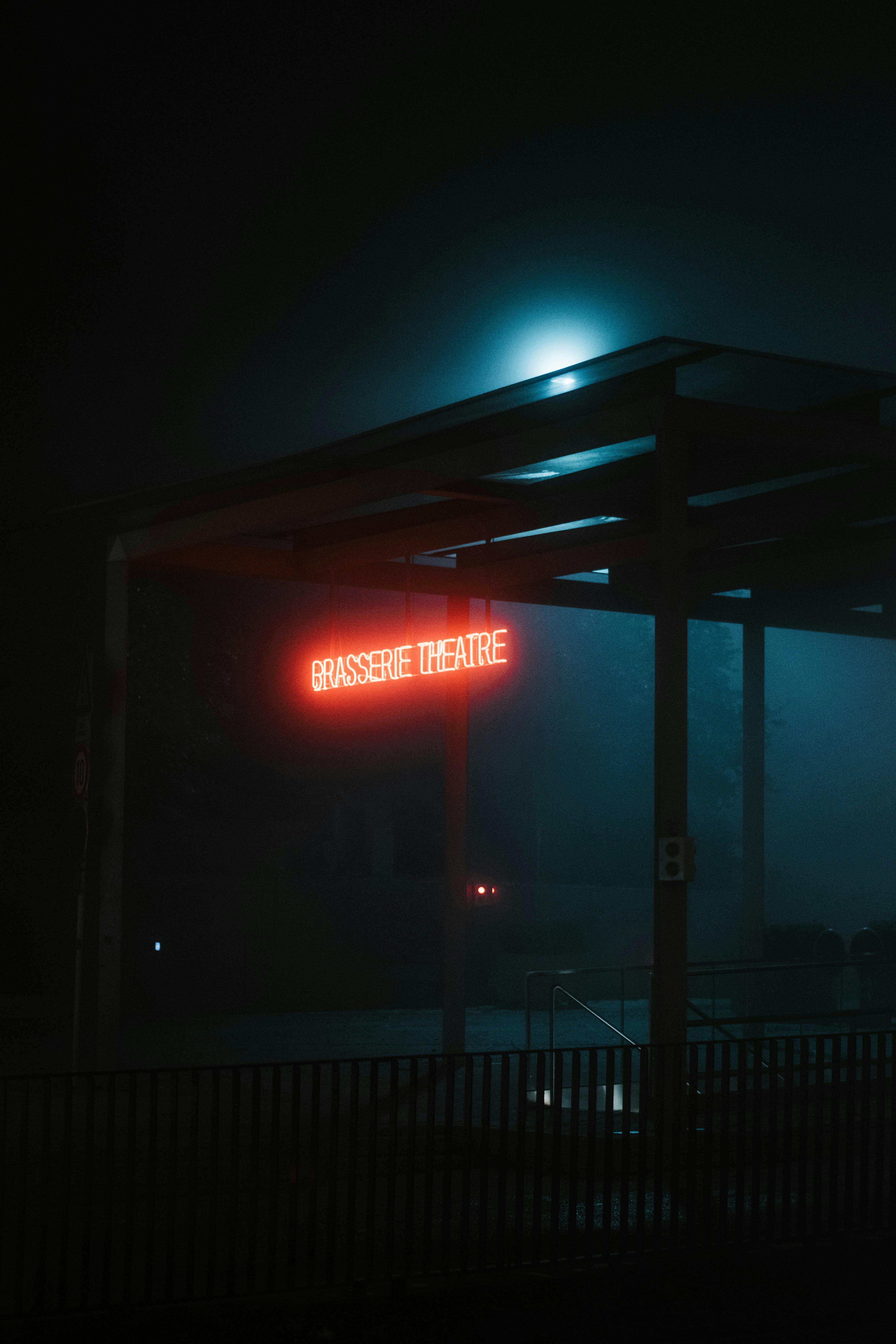 Neon at Night · Free Stock Photo