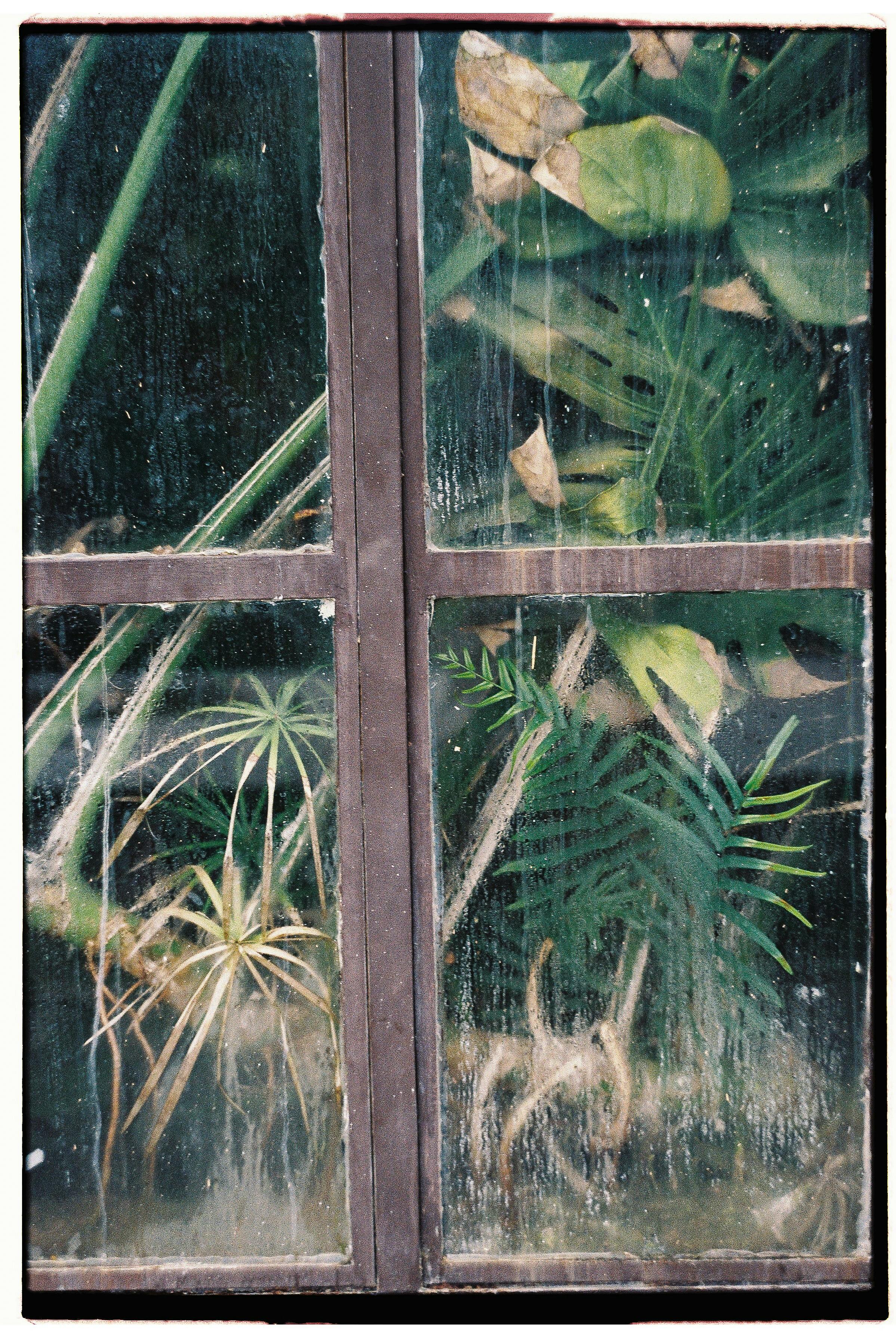 Windows Frame Photos, Download The BEST Free Windows Frame Stock Photos ...