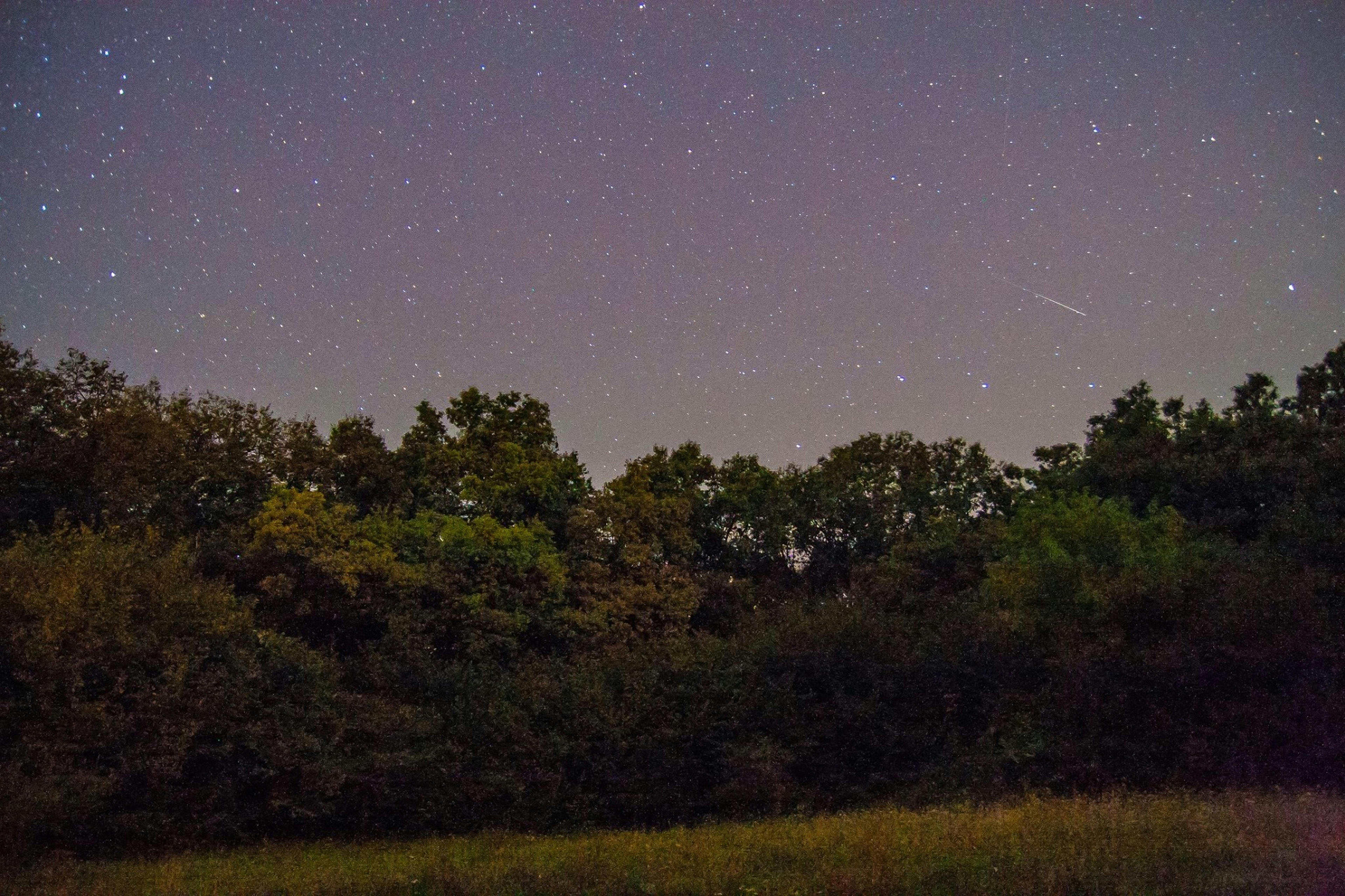 Hoia Baciu Forest, Romania Photos, Download The BEST Free Hoia Baciu ...