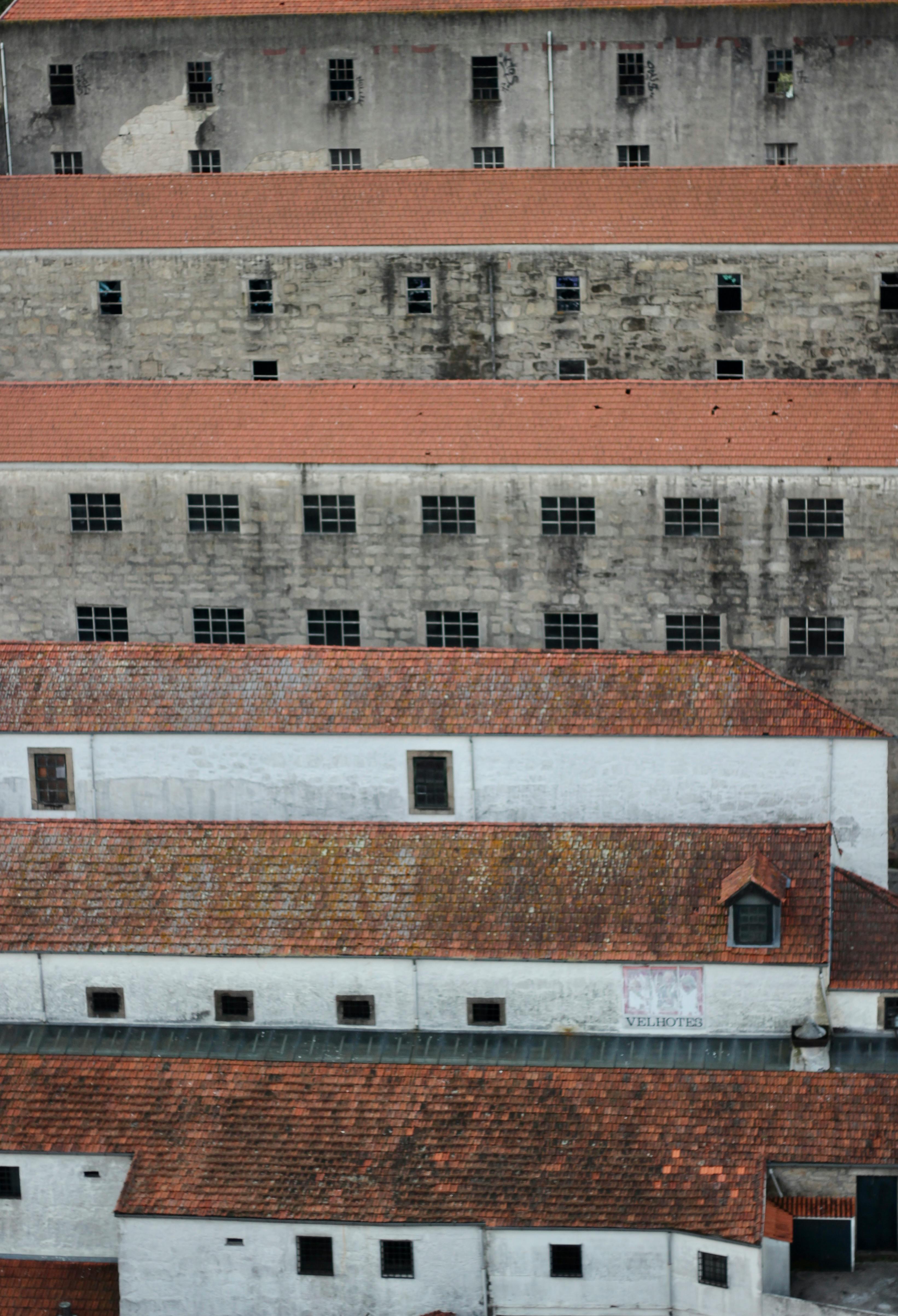 Red Tiled Rooftops · Free Stock Photo