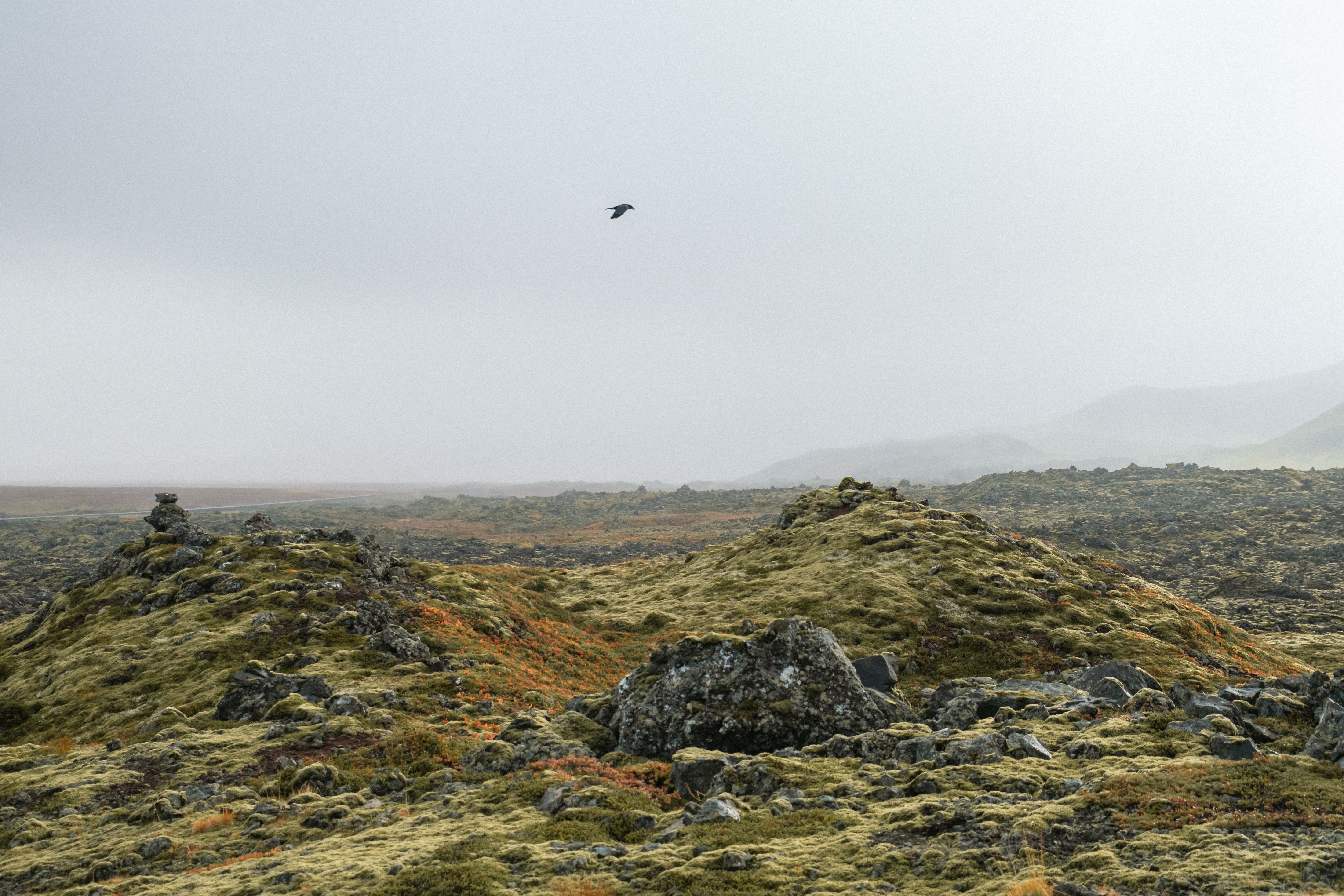 Landscape of Rocky Mountains Covered in Grass · Free Stock Photo