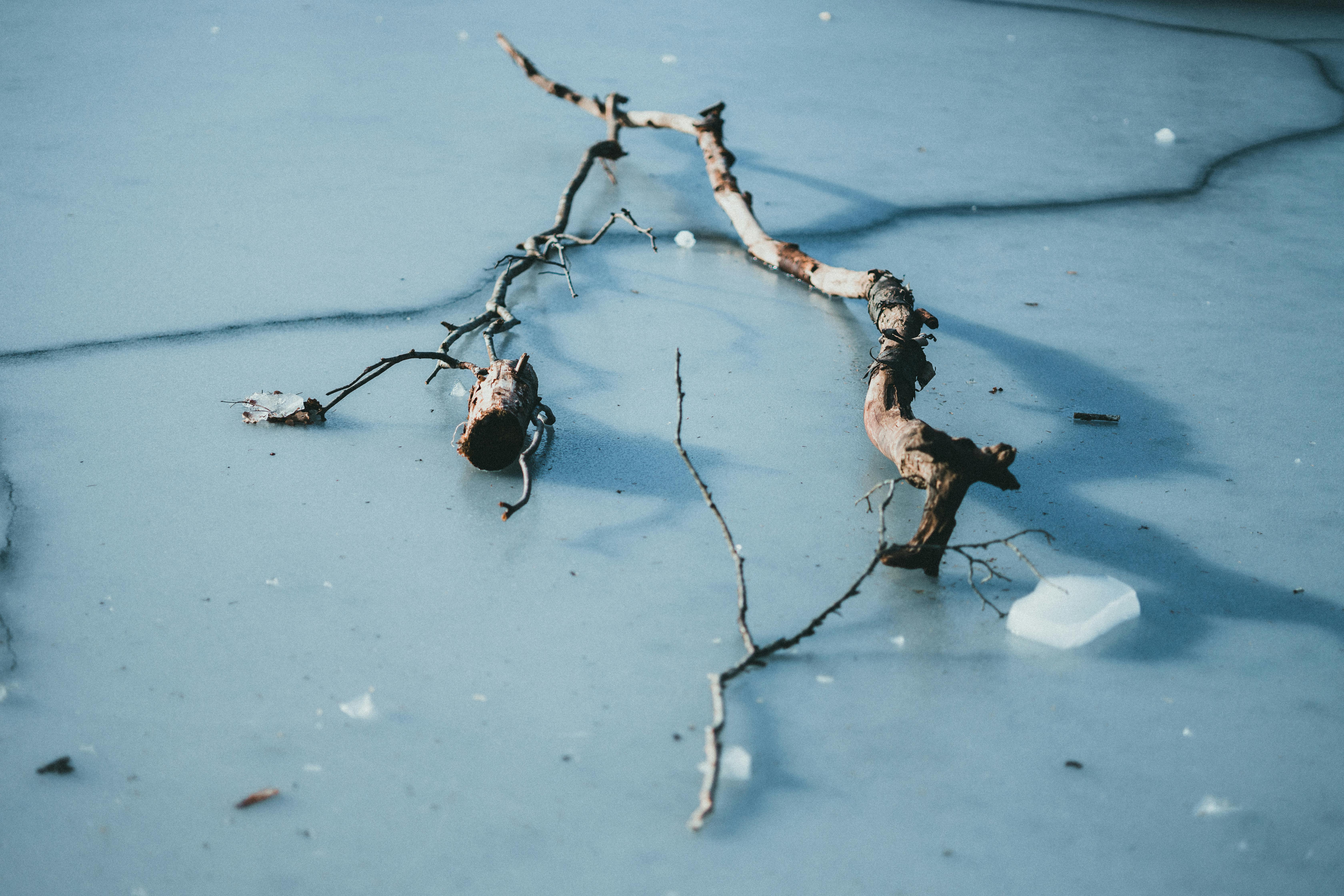 A Stick on a Frozen Surface · Free Stock Photo
