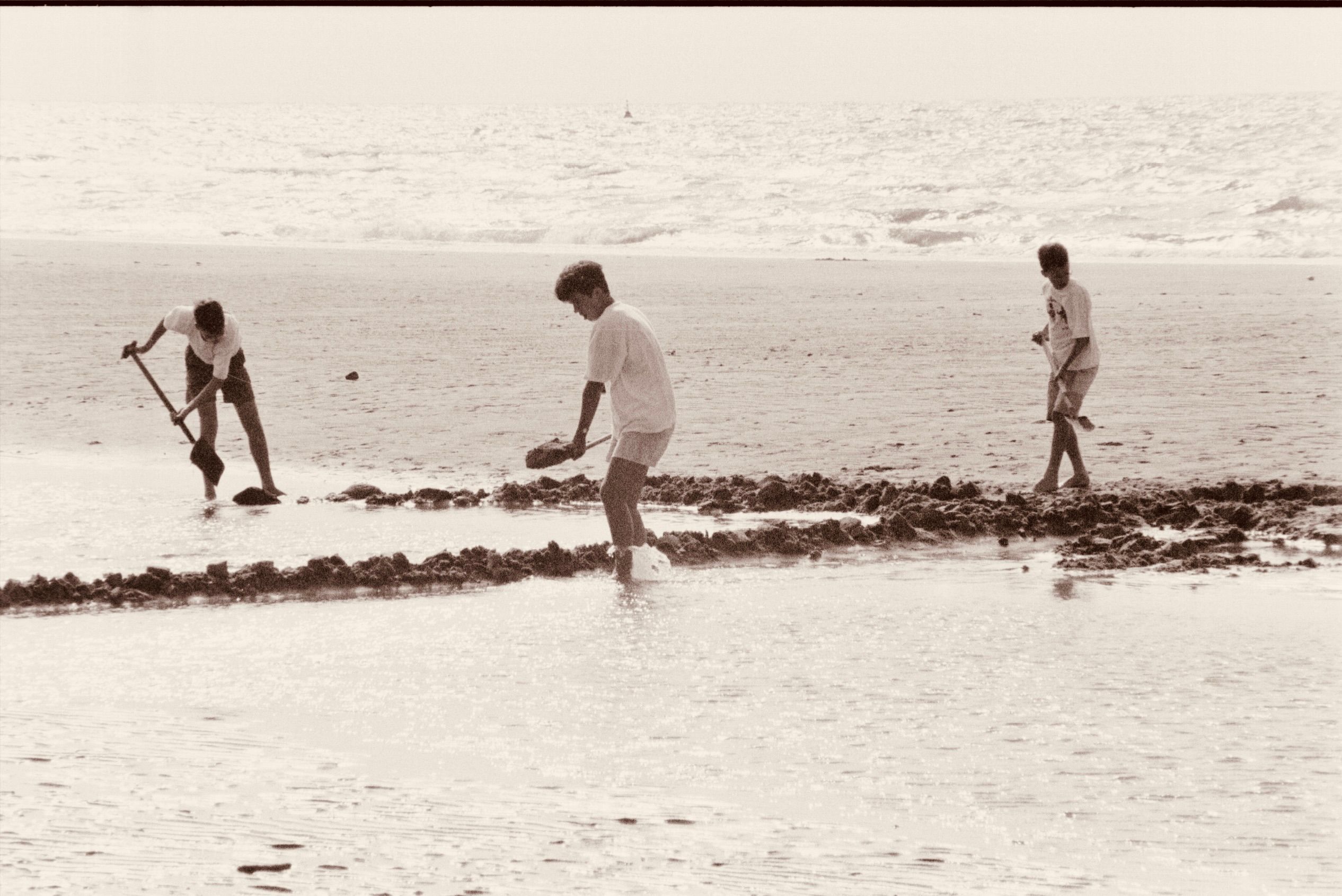 Sepia Summer Fun Photos, Download The BEST Free Sepia Summer Fun Stock ...