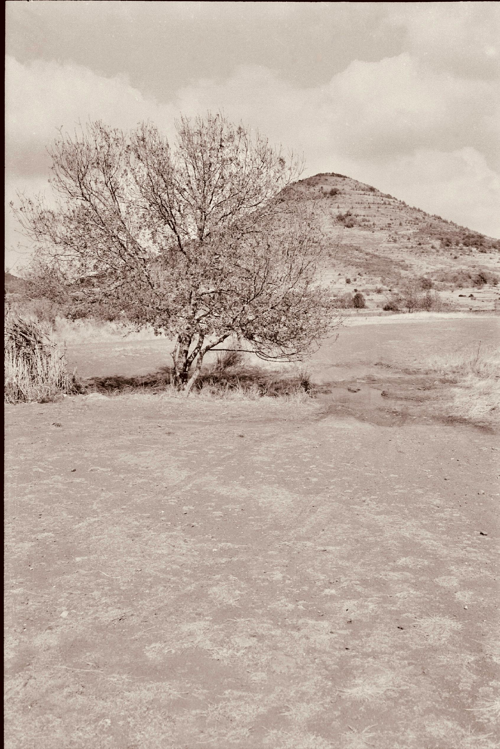 Sepia Picture of a Hill on a Desert · Free Stock Photo