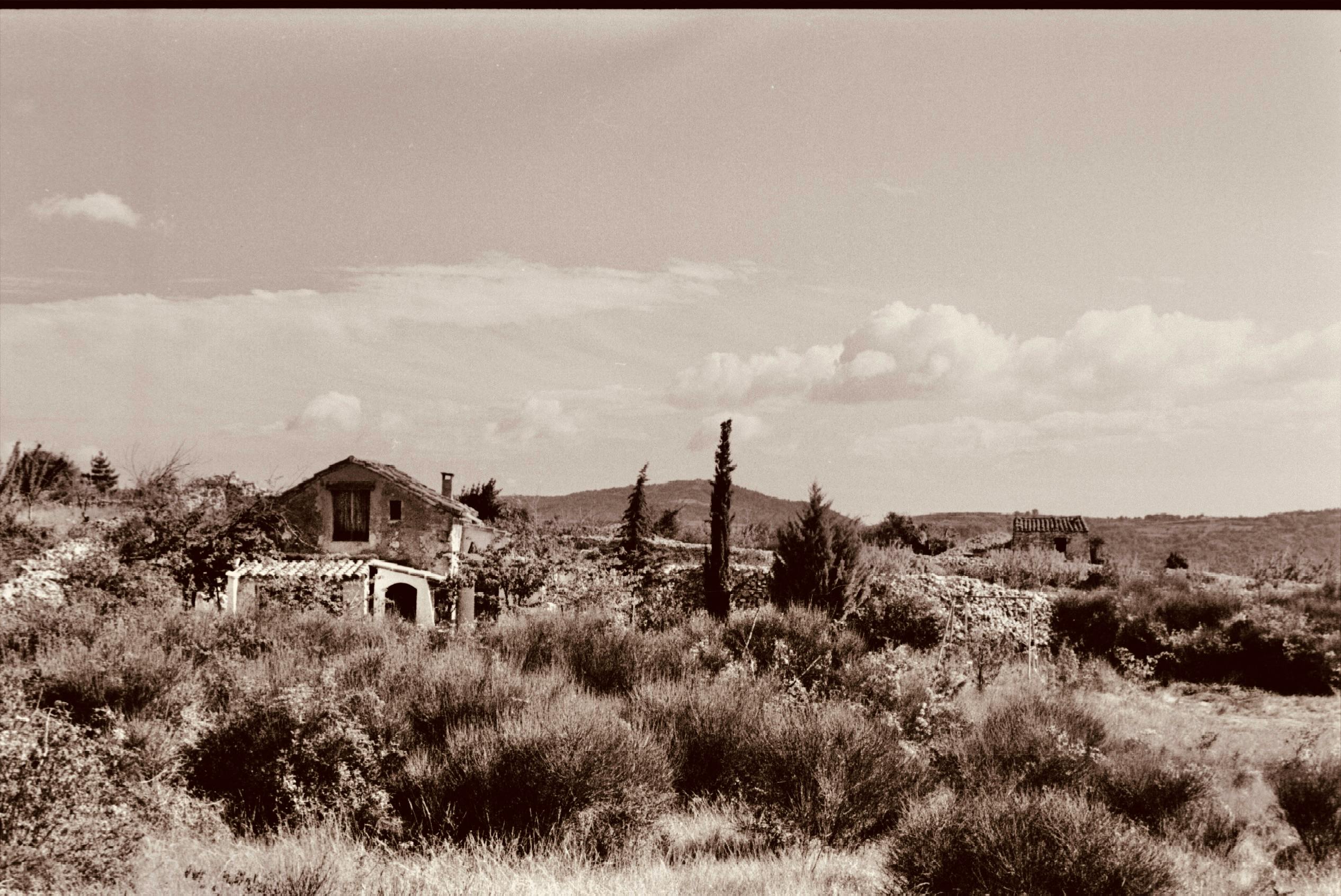Sepia Rural Landscape · Free Stock Photo