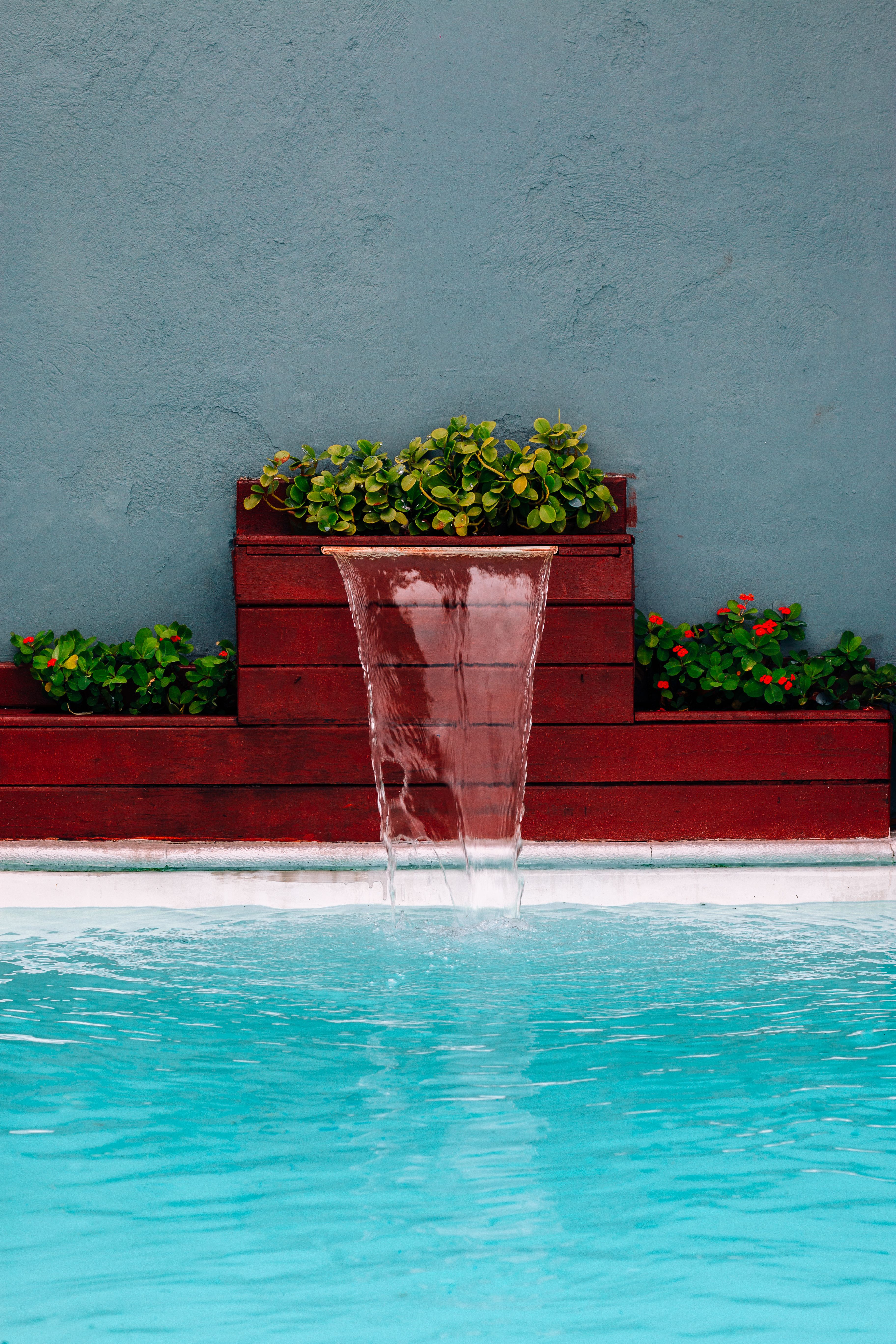 Plant Box Beside a Swimming Pool · Free Stock Photo
