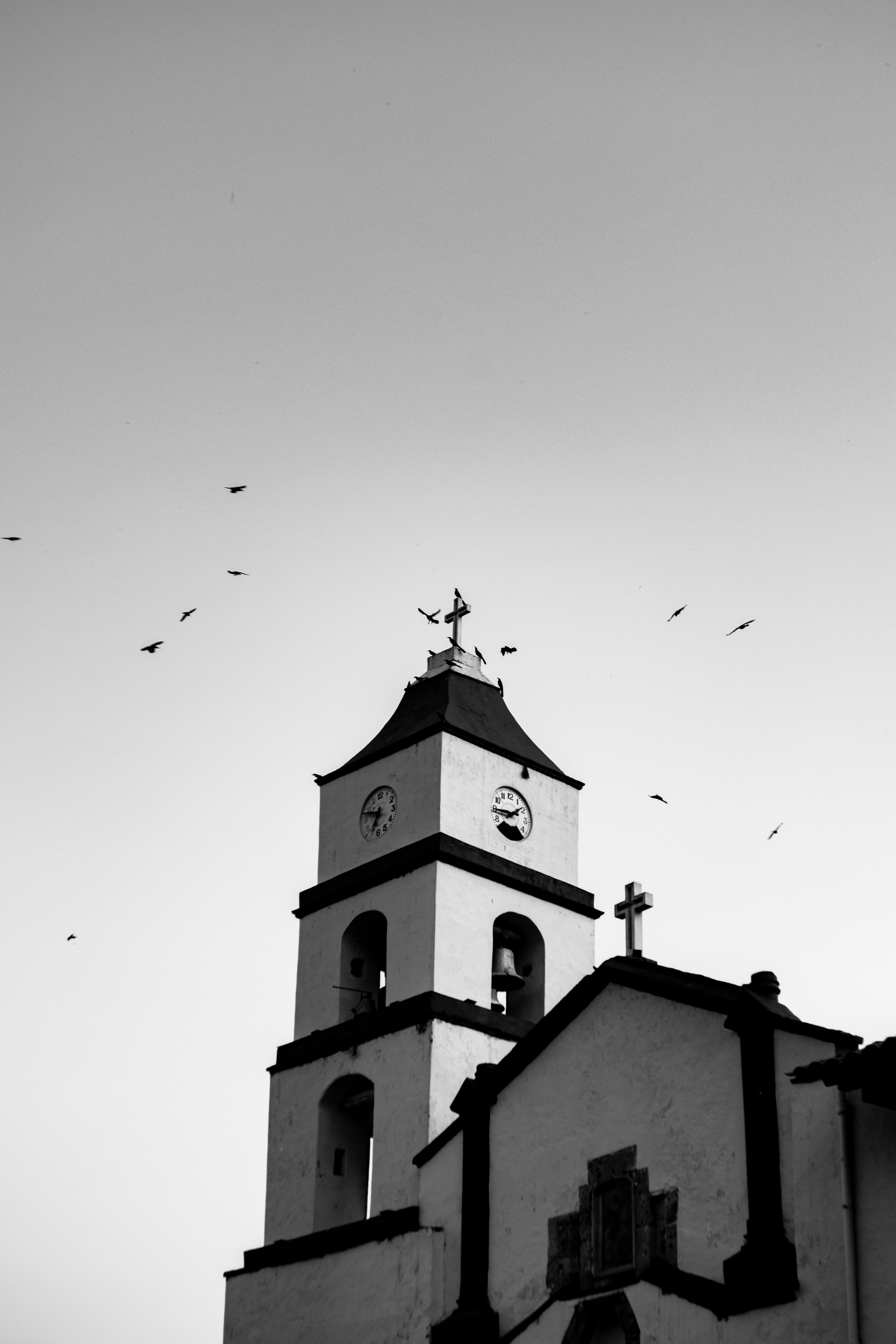 Birds Flying Over Church Bell Tower · Free Stock Photo