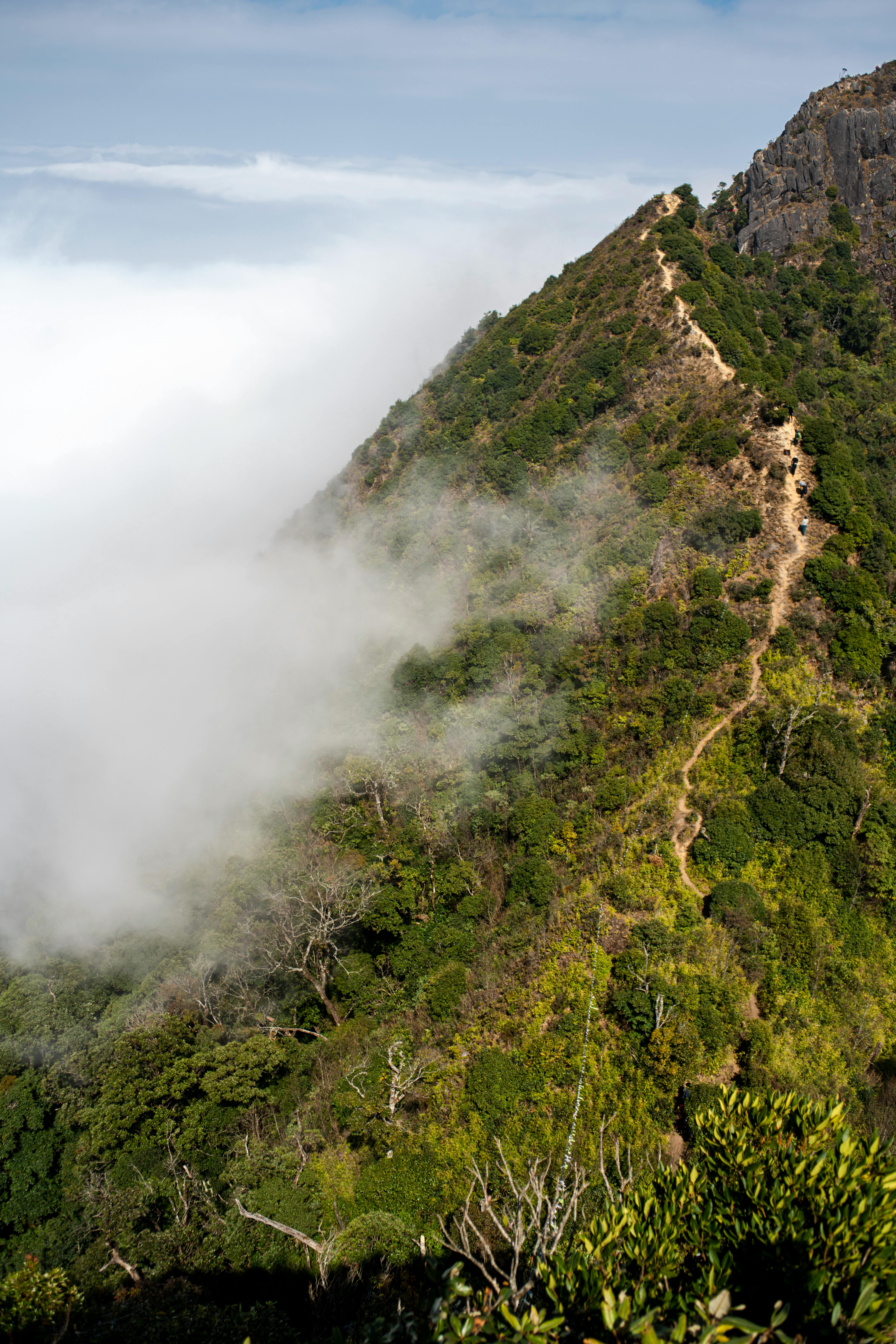 Thick Fog Floating over a Green Mountain Ridge · Free Stock Photo