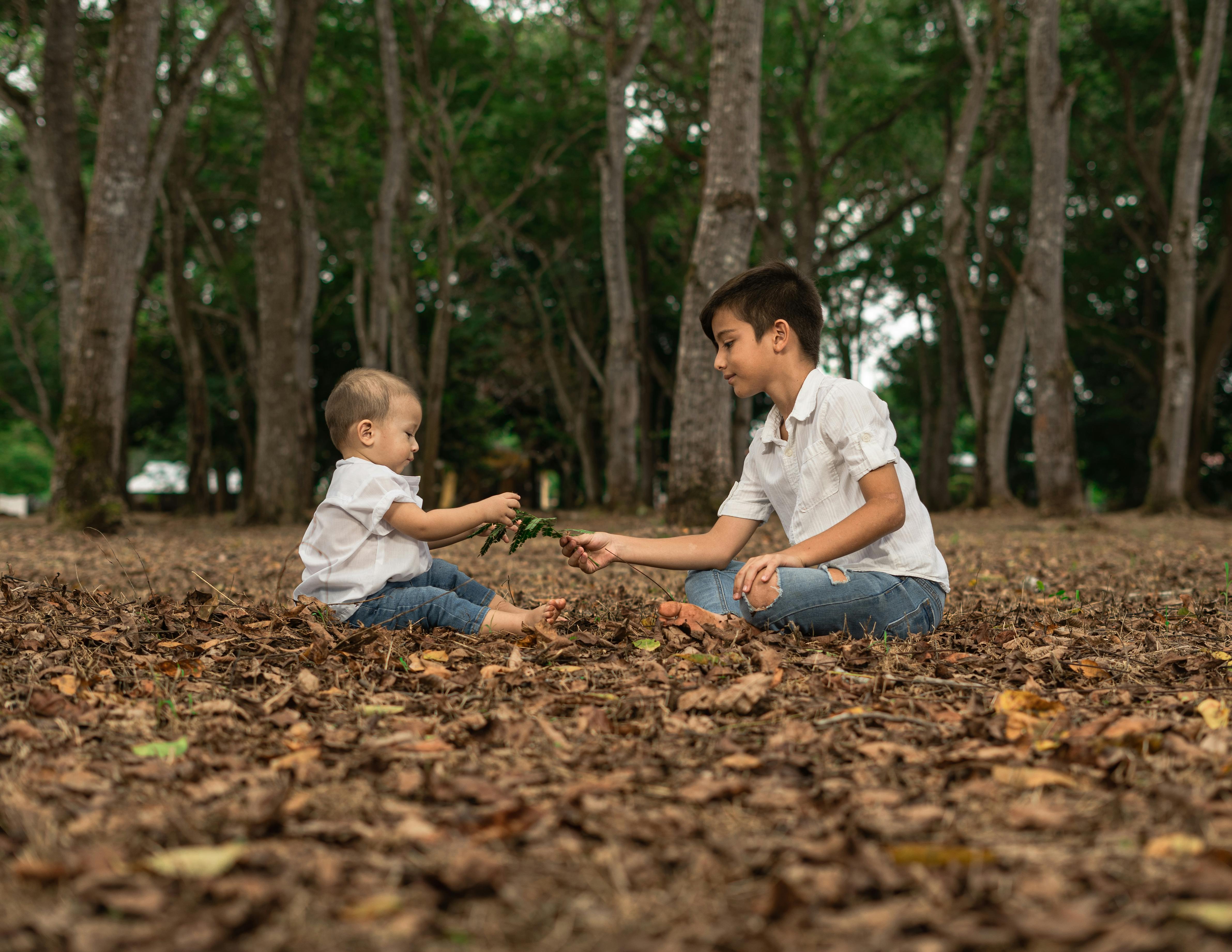 Foto de stock gratuita sobre cerca, chavales, familia, hermanos, hojas ...