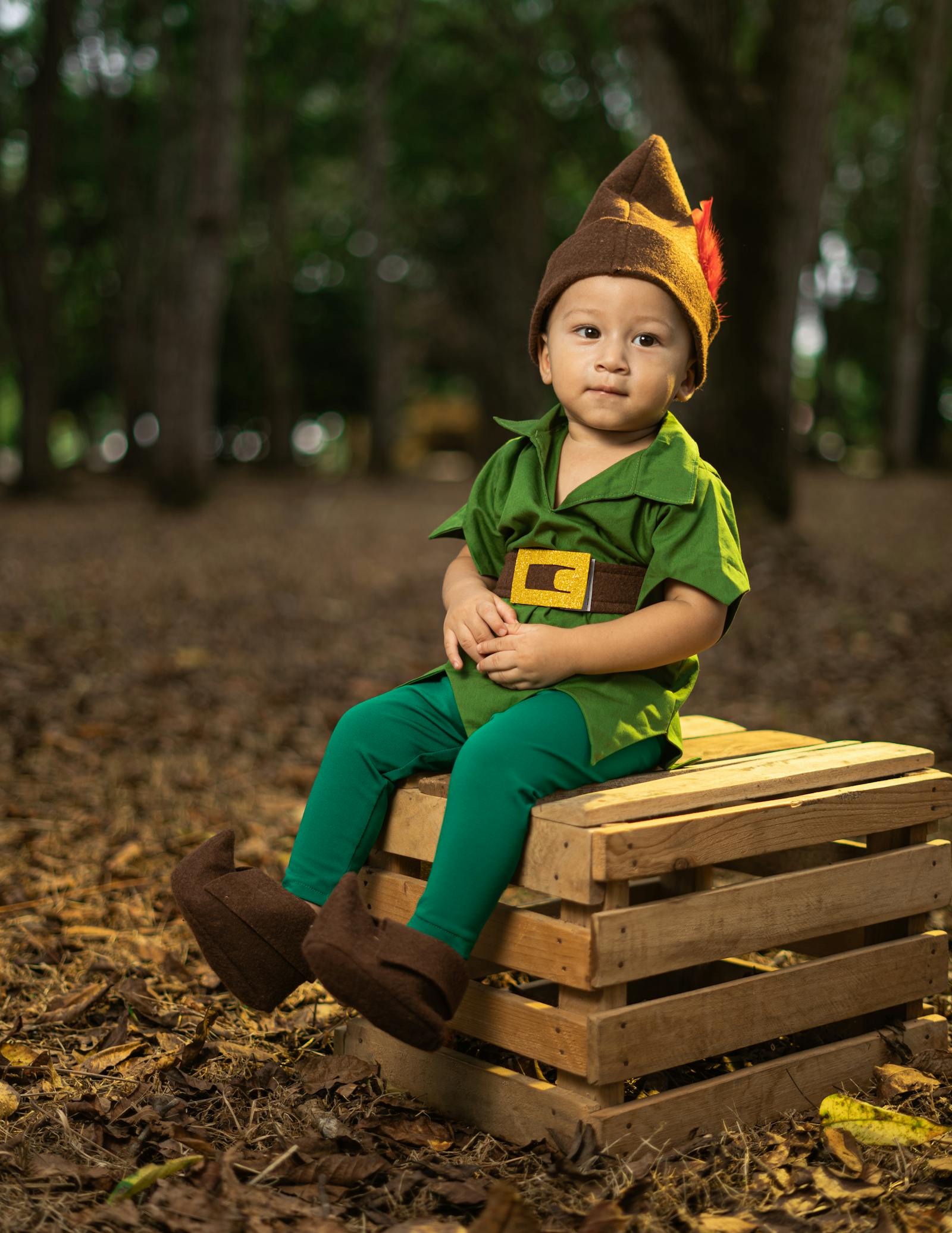Peter Pan Photos, Download The BEST Free Peter Pan Stock Photos & HD Images
