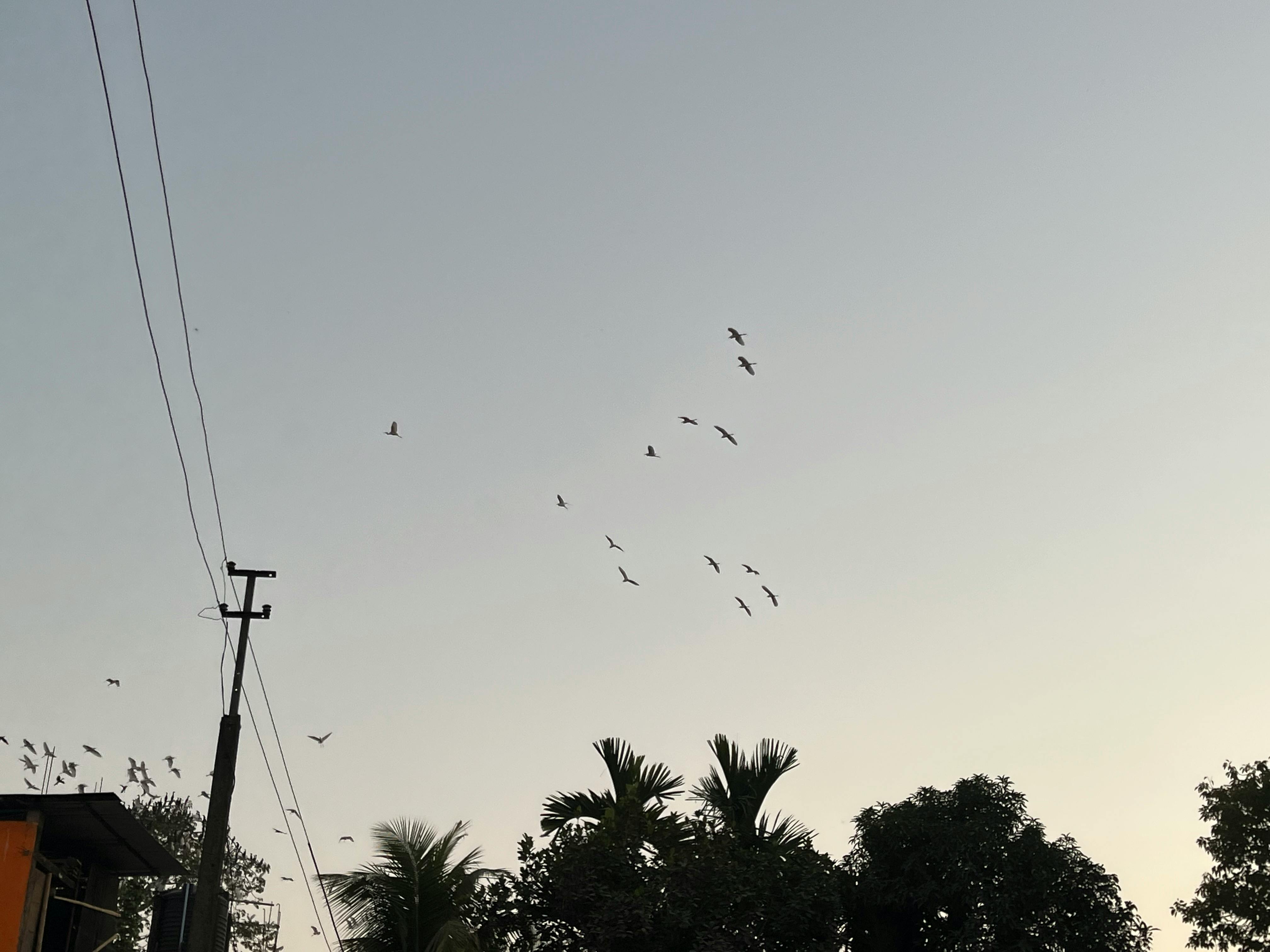 Prasenjit Debnath Fotoğrafçılık