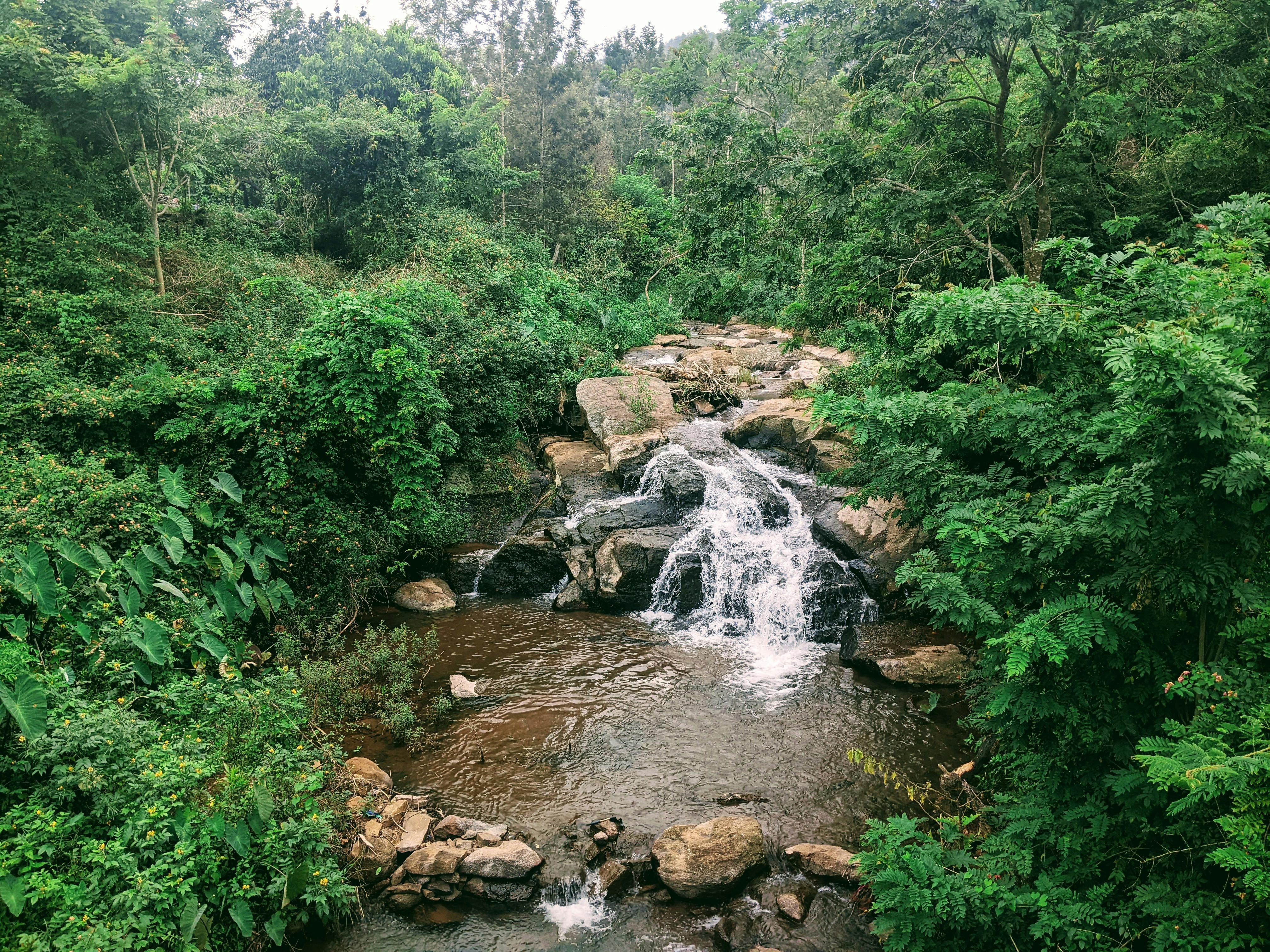 Cascades Into Forest Desktop Wallpaper Photos, Download The BEST Free ...