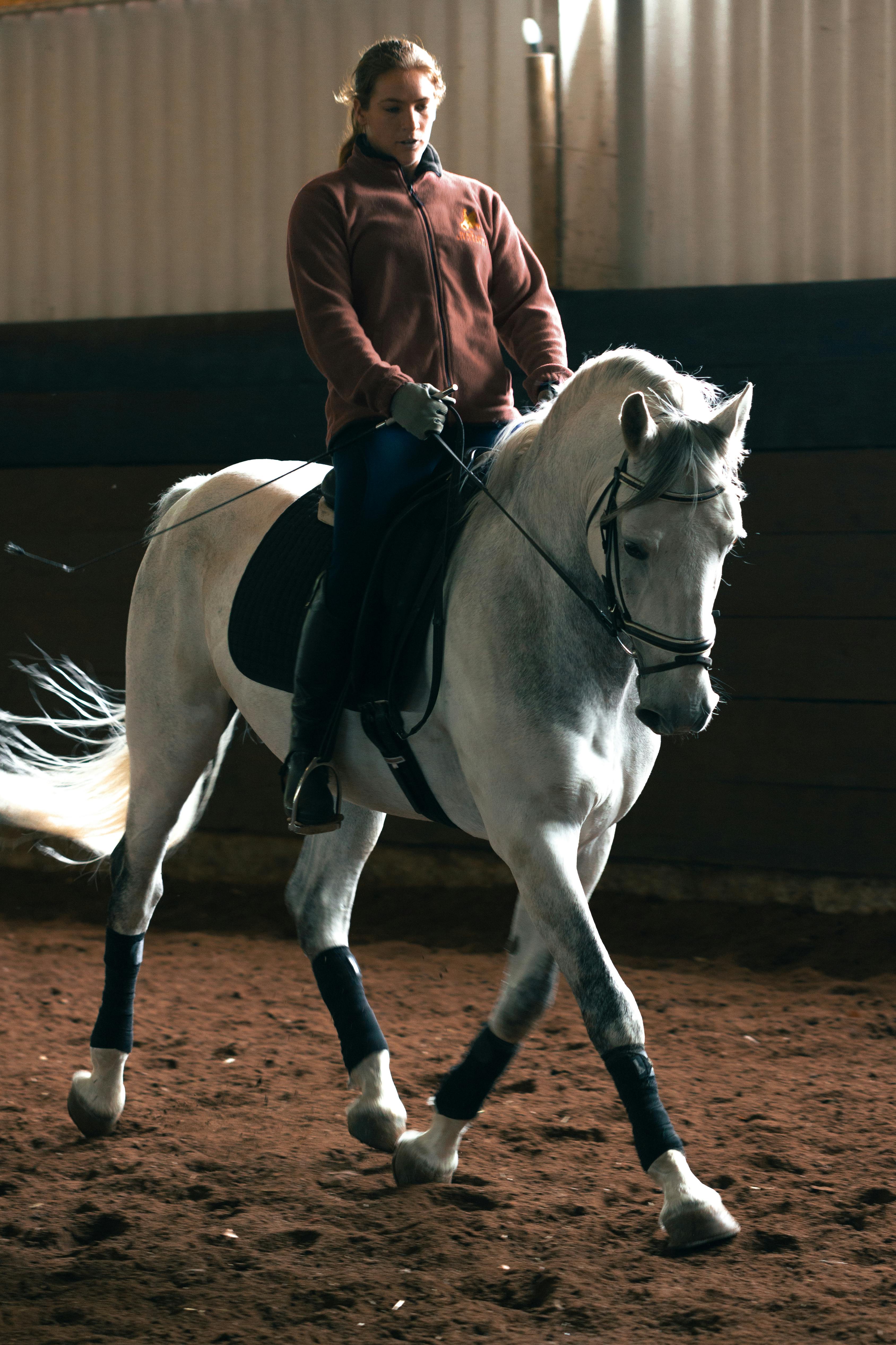 HORSES 18 Photos & Videos Collected by Laura Alessia