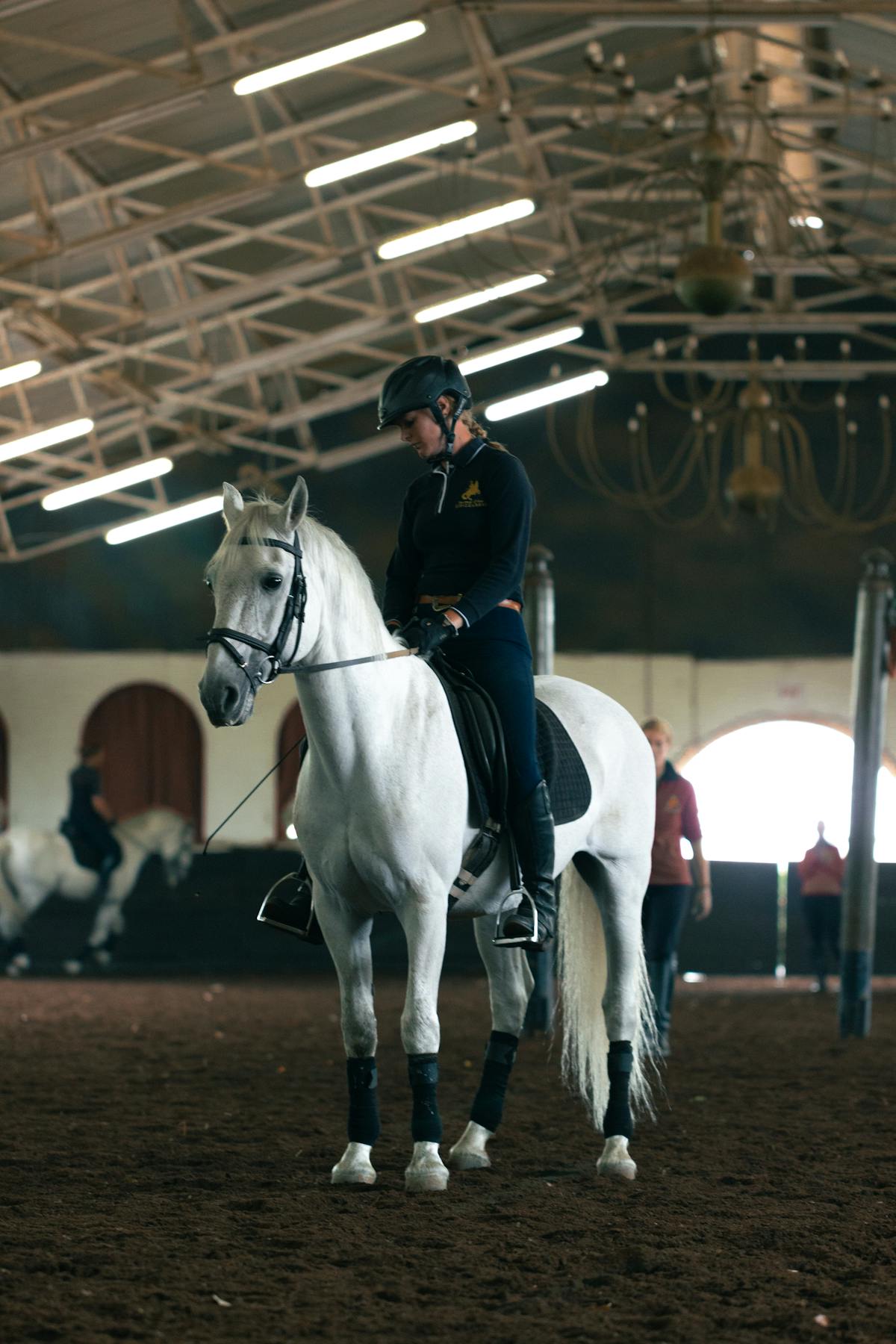 Dressage Competition Riding Horses Photos, Download The BEST Free ...