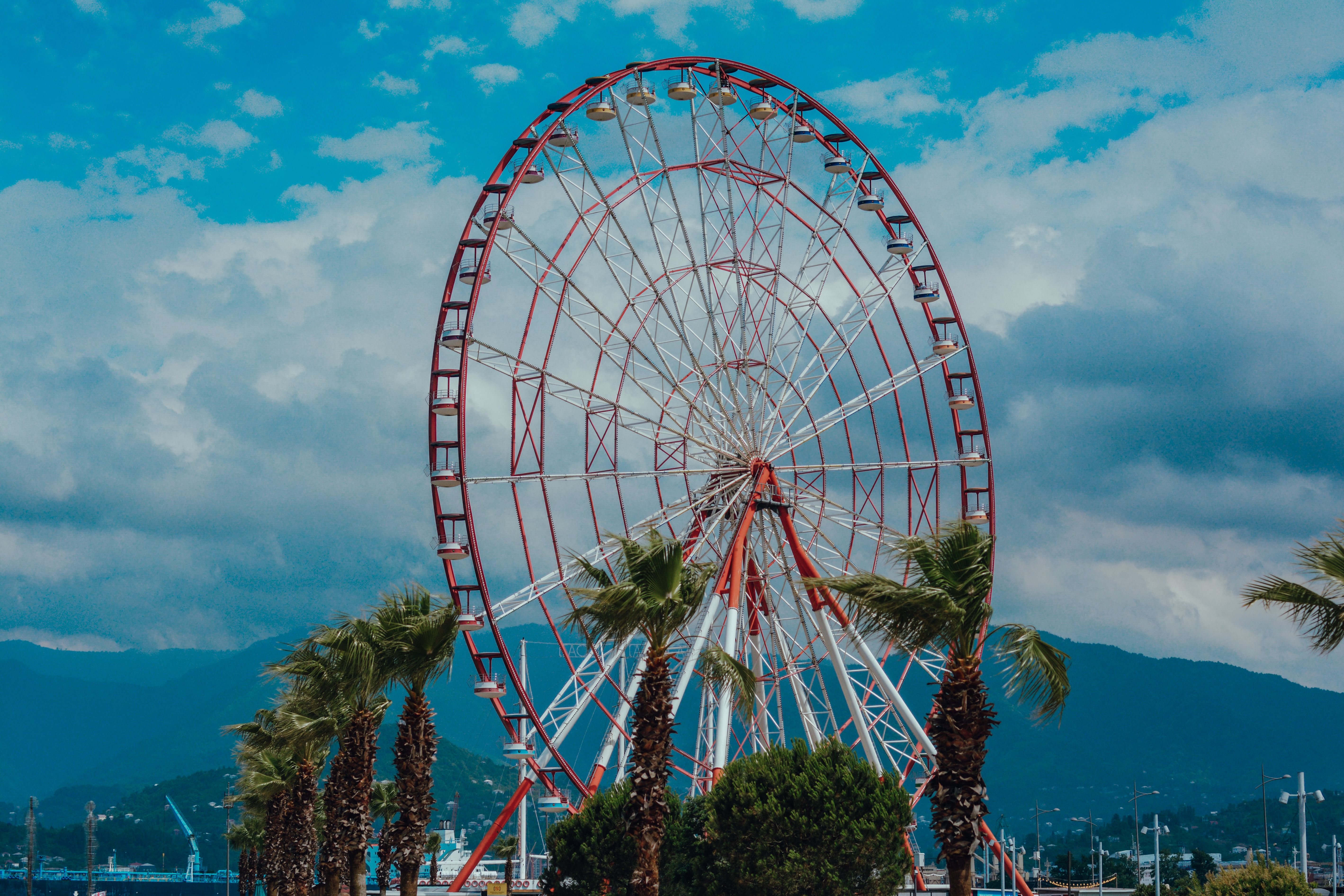 Photo of Palm Trees Near a Ferris Wheel · Free Stock Photo