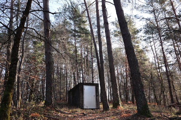 Forest Bunker Photos, Download The BEST Free Forest Bunker Stock Photos ...
