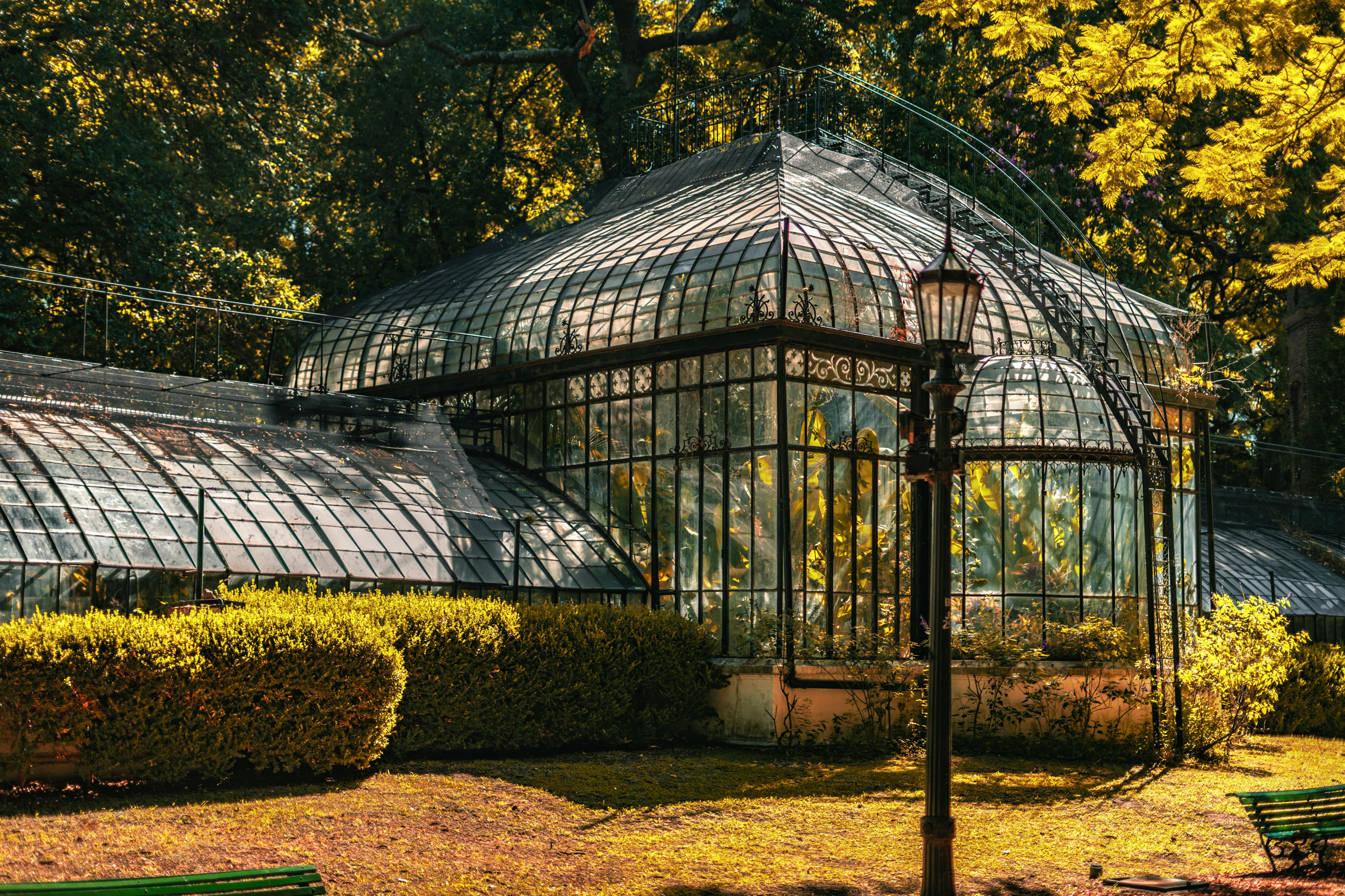 Trees around Greenhouse in Park · Free Stock Photo