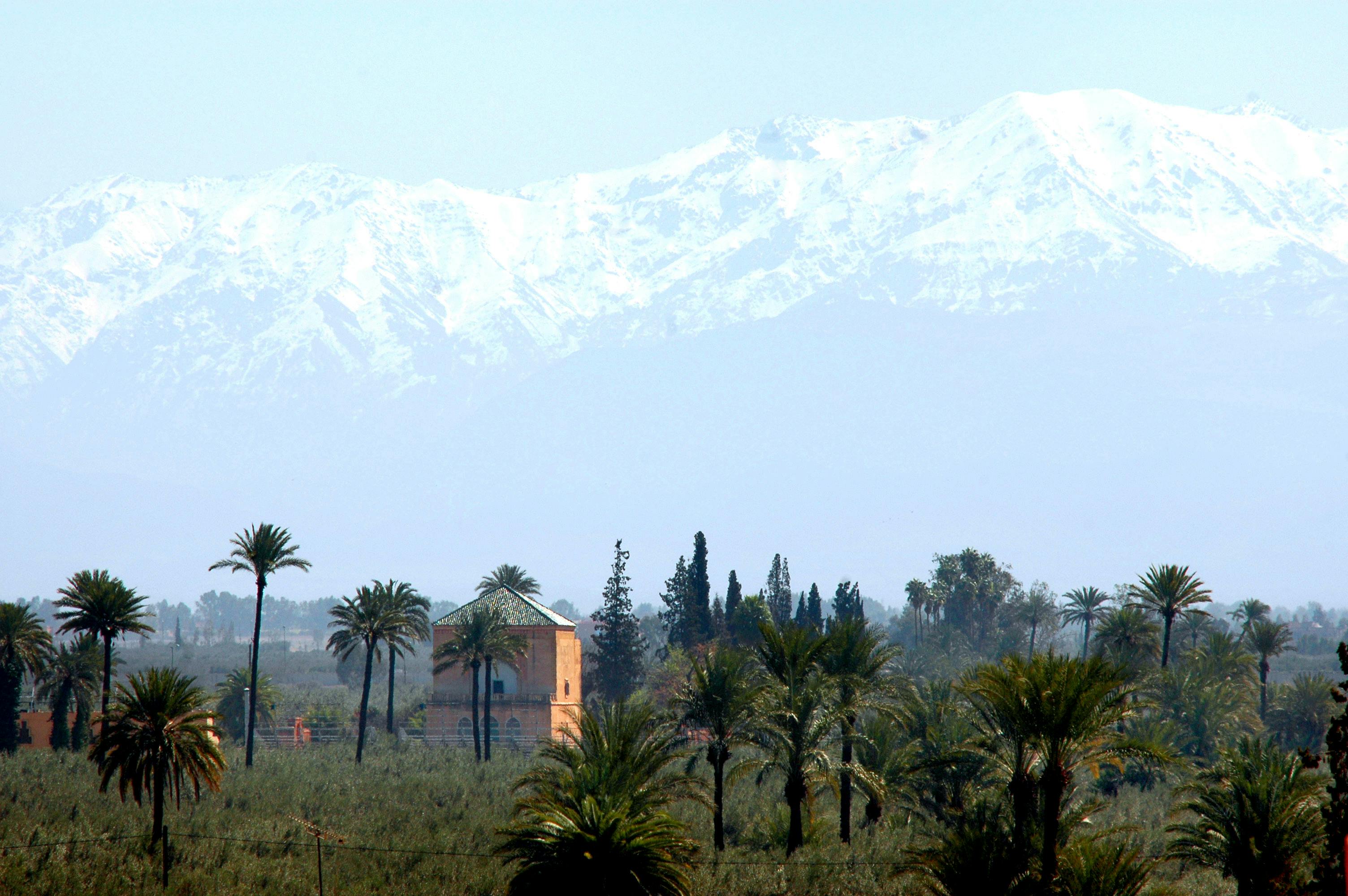 Wallpaper Samples Photos, Download The BEST Free Wallpaper Samples ...