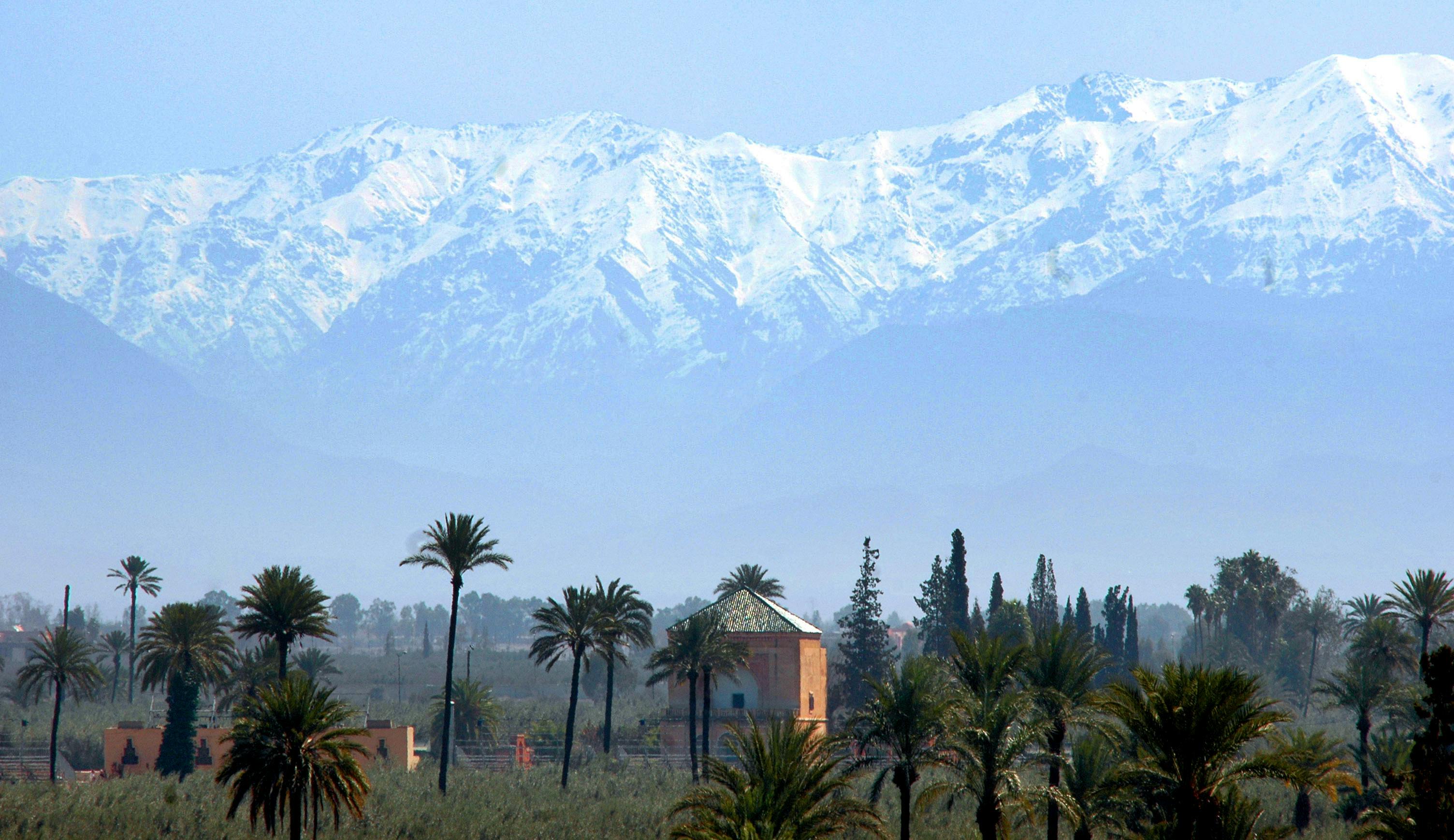 Landscape of Palm Trees and the Atlas Mountains in Marrakech, Morocco ...