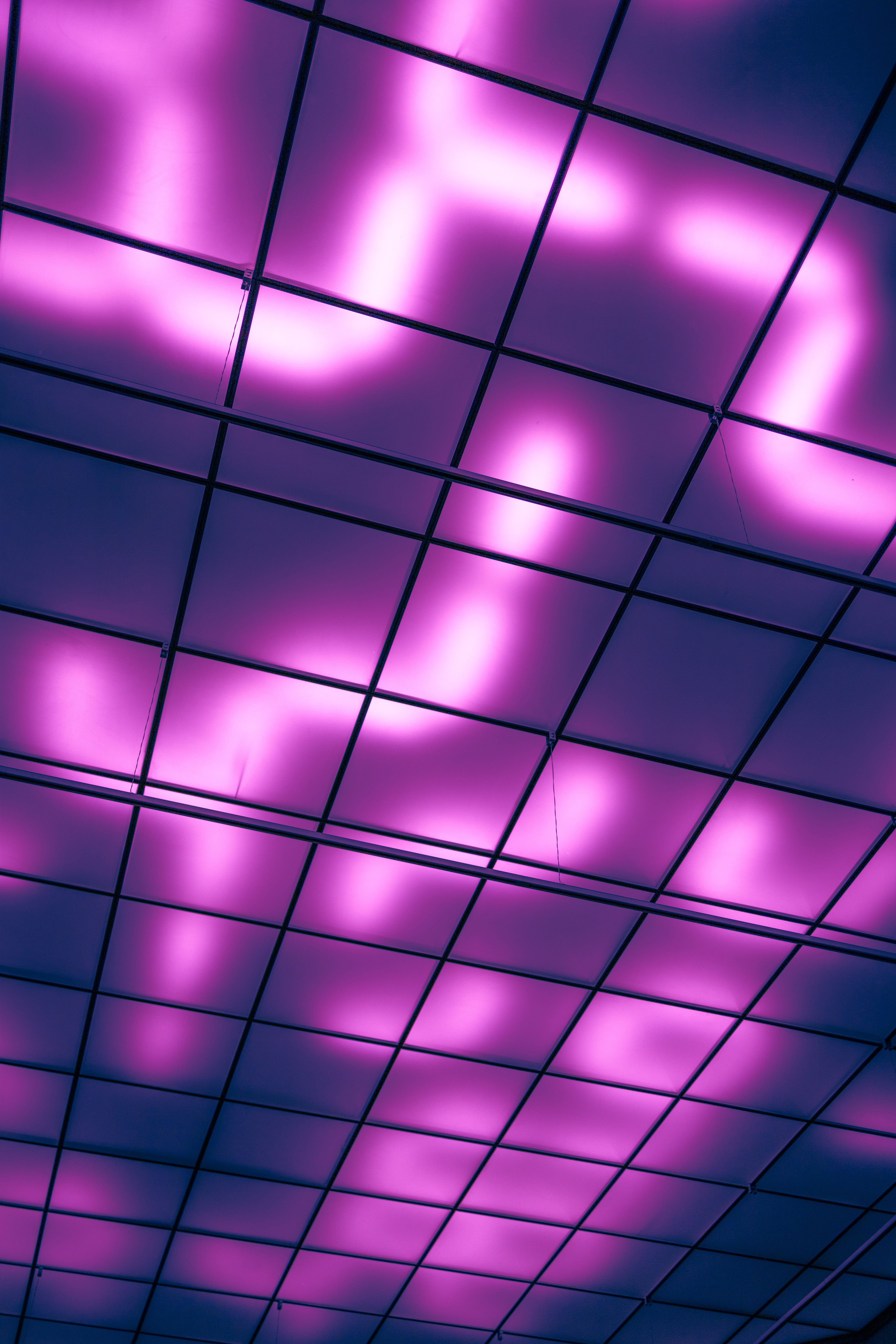 Close up of Pink Light on Ceiling · Free Stock Photo