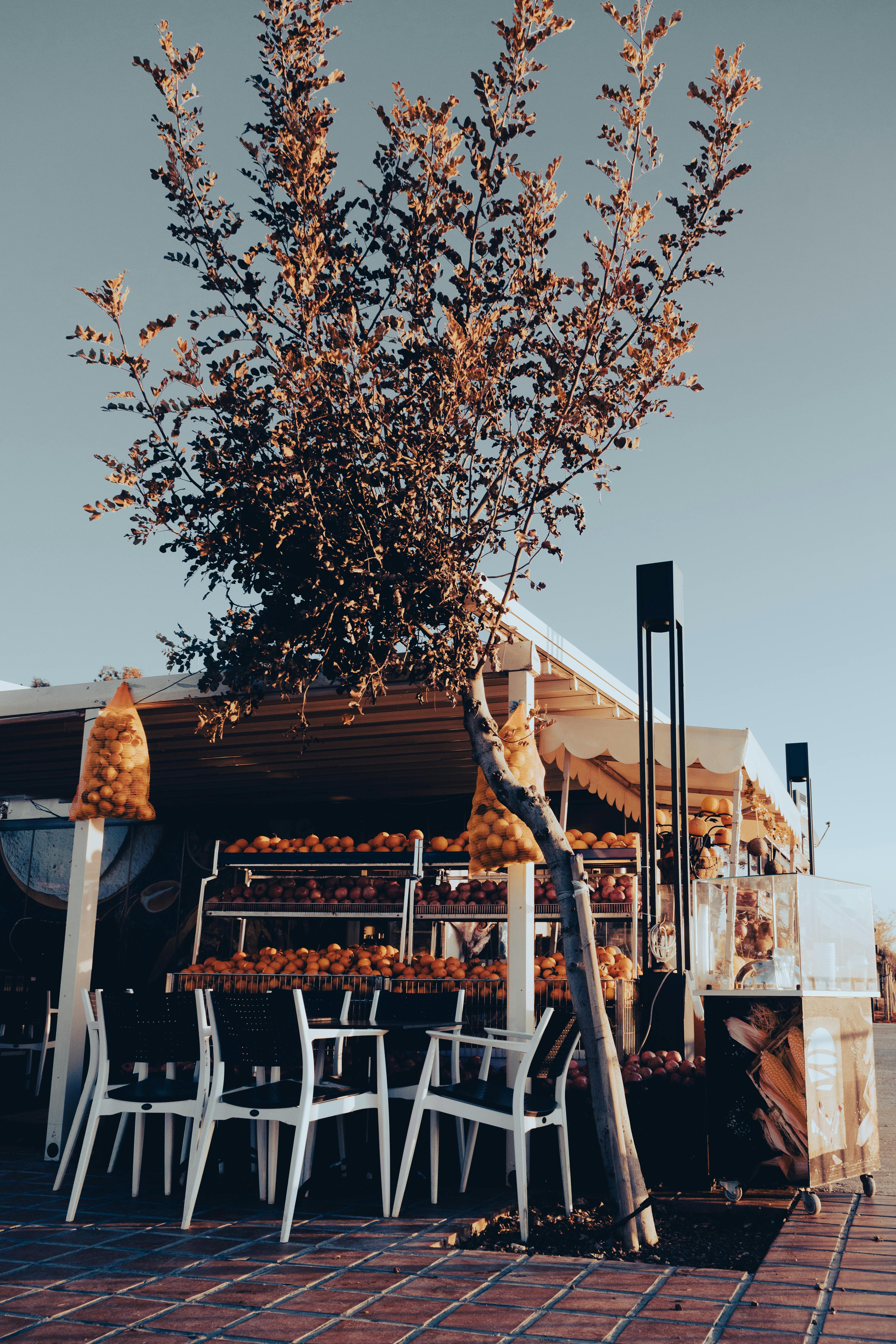 Store with Oranges · Free Stock Photo