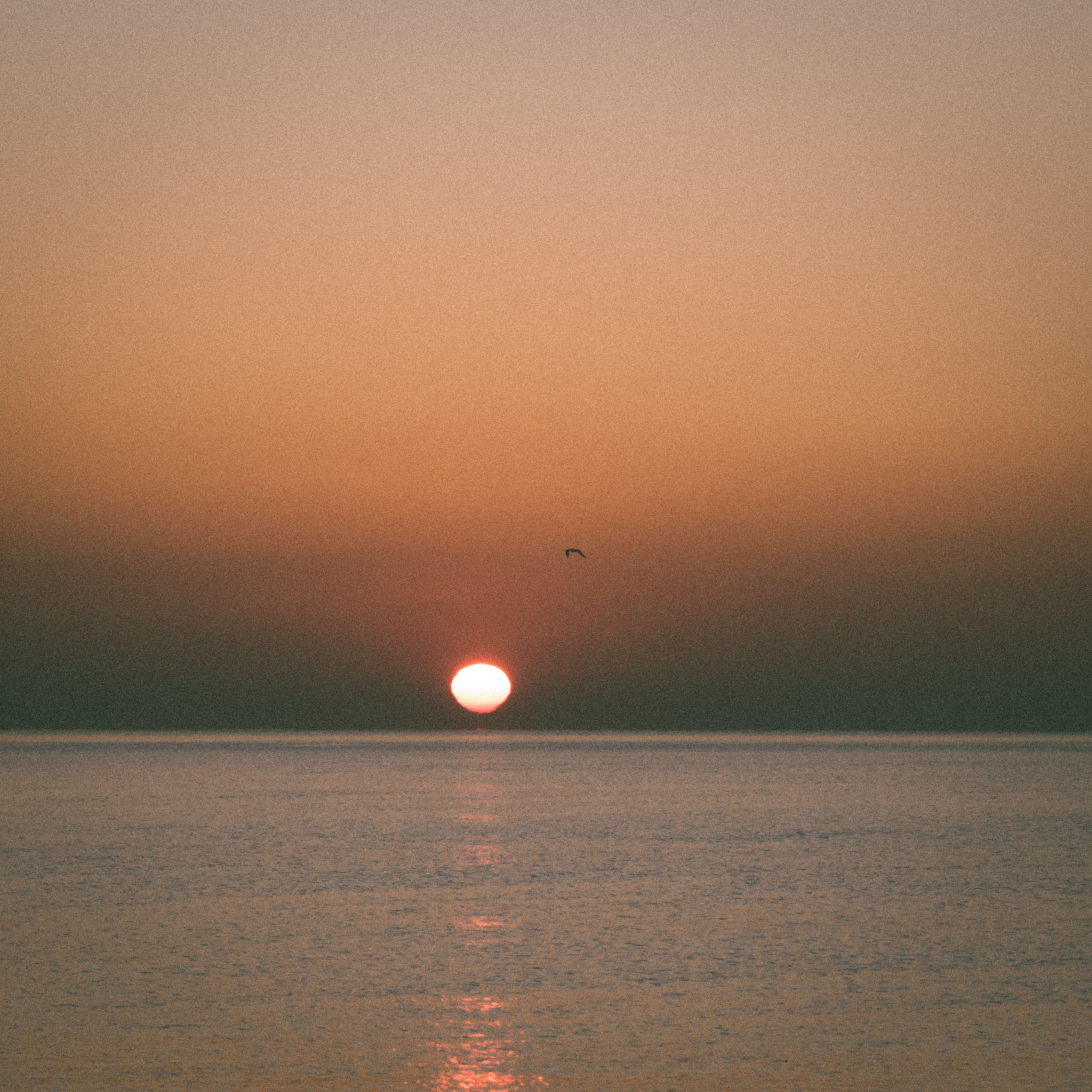 Perfect Scenery Photos, Download The BEST Free Perfect Scenery Stock ...