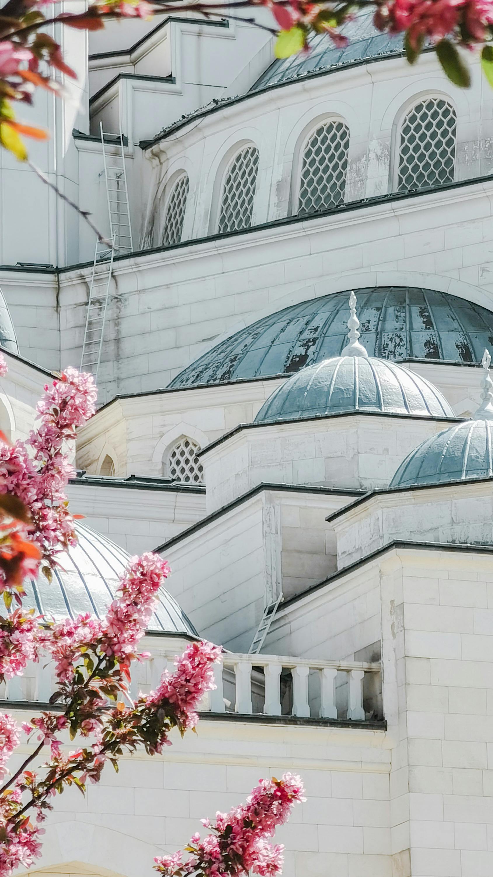 Tokyo Mosque in Tokyo, Japan · Free Stock Photo