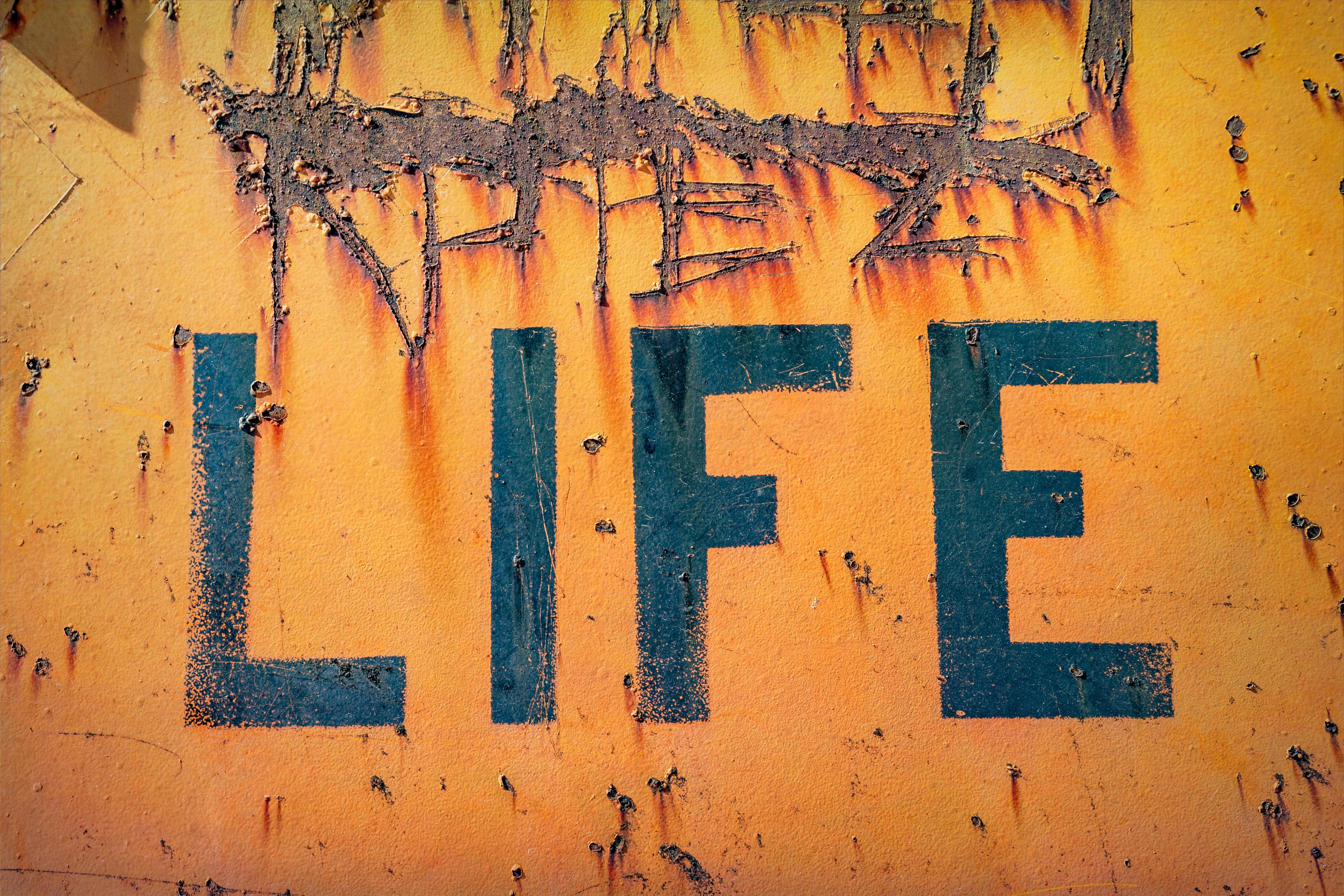 Life Walls Photos, Download The BEST Free Life Walls Stock Photos & HD ...