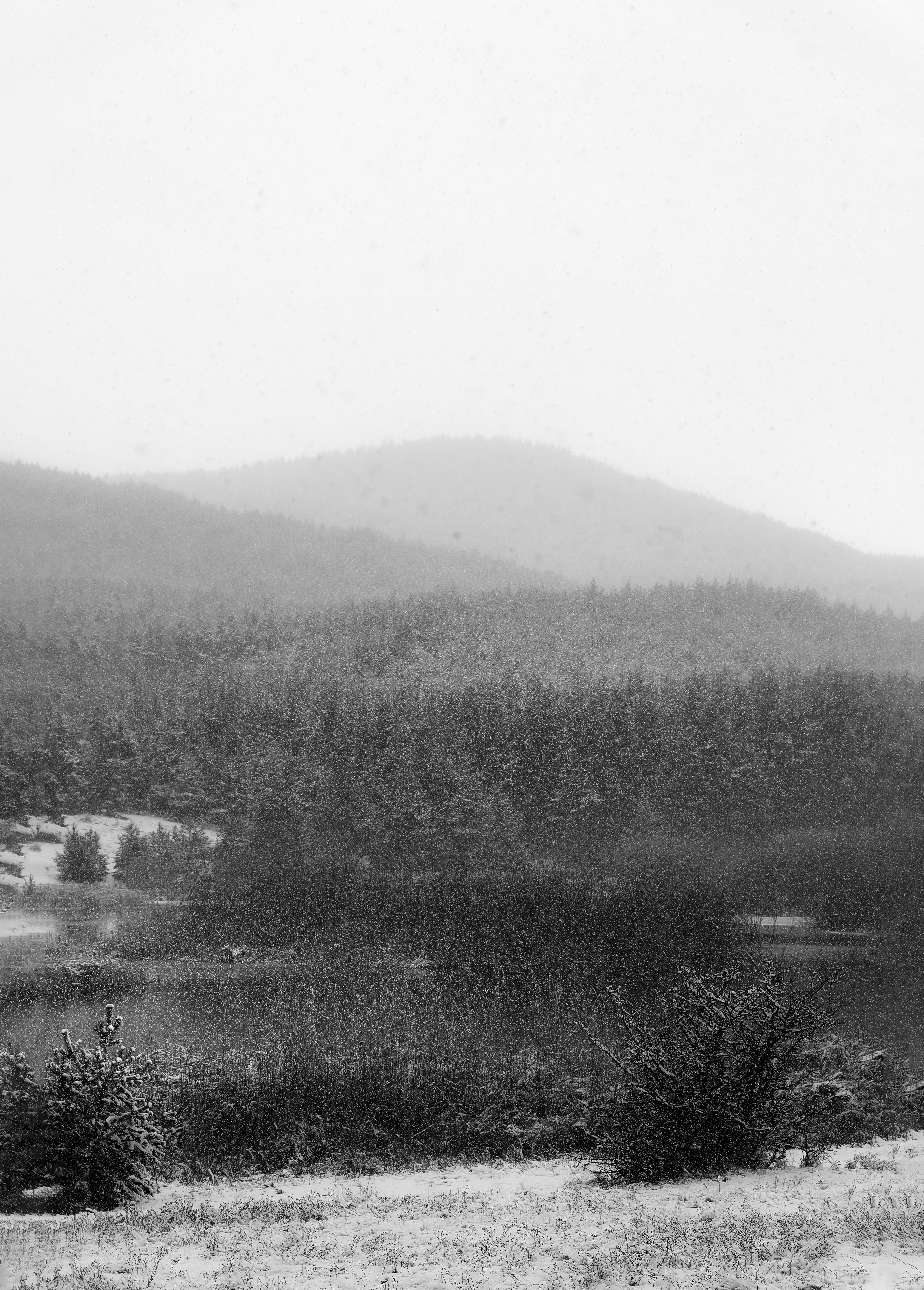 Black and White Photo of a Countryside Landscape · Free Stock Photo