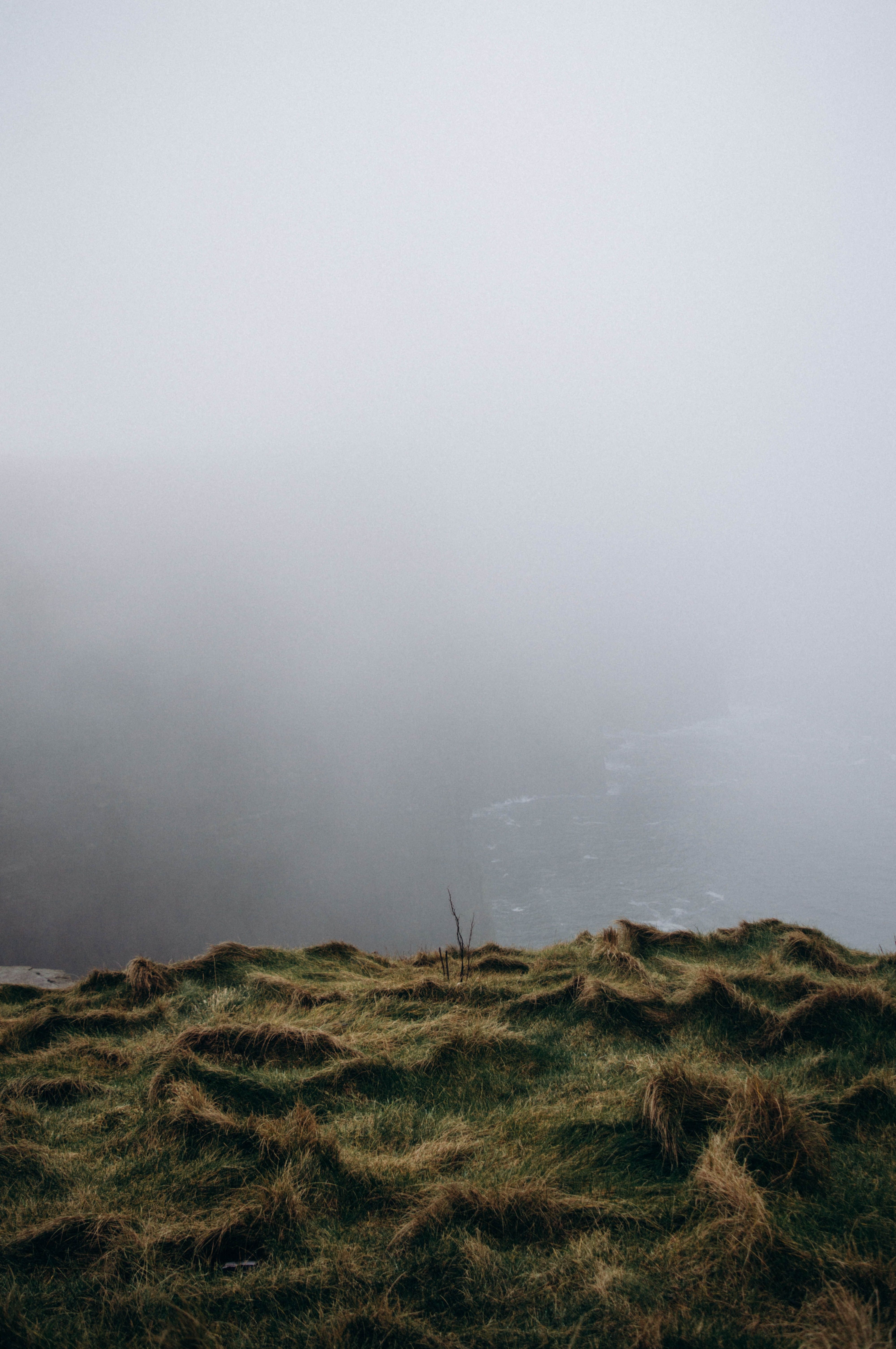 Fog over Grass · Free Stock Photo