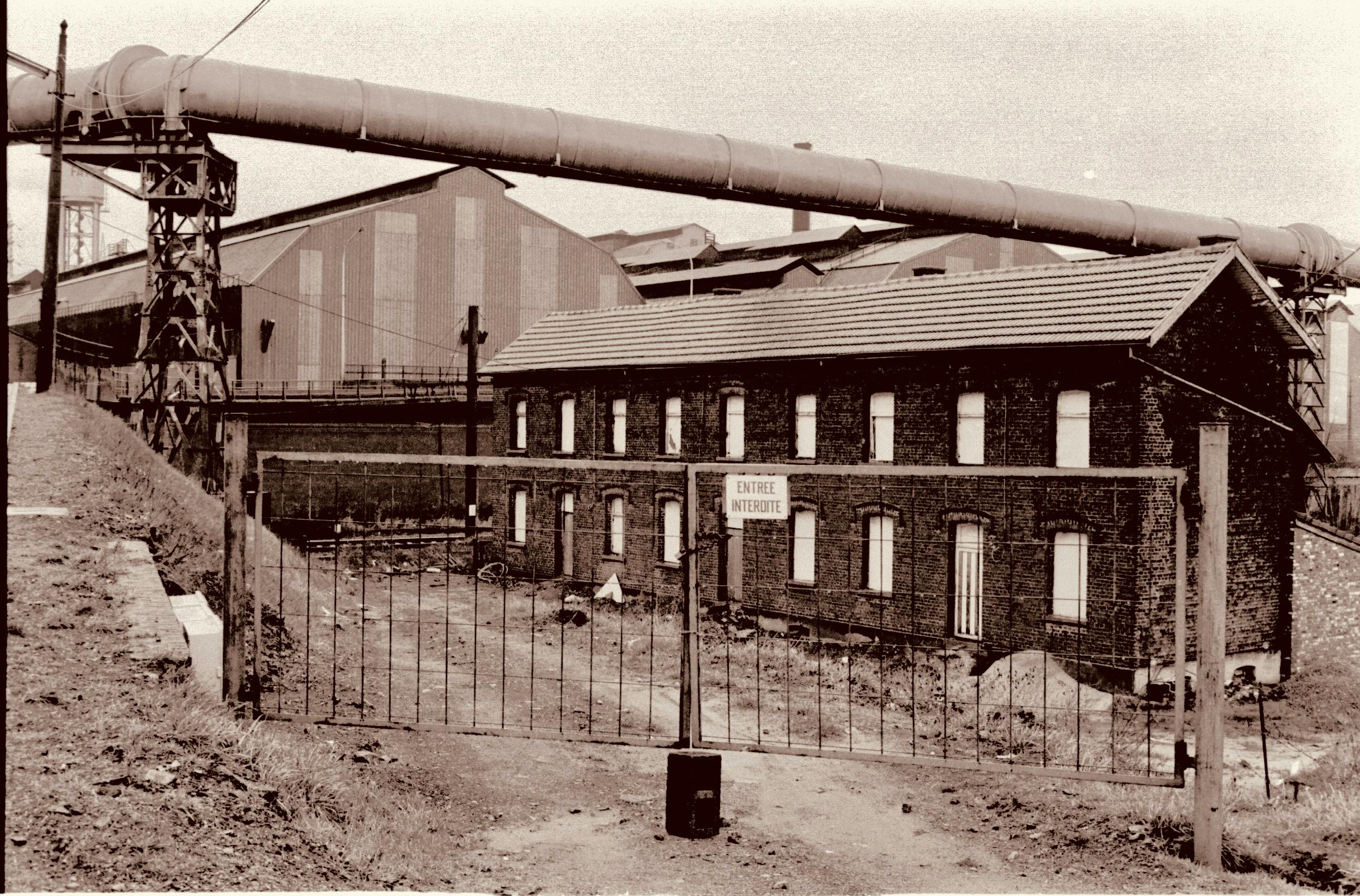 Sinead O'connor Pipe Photos, Download The BEST Free Sinead O'connor ...