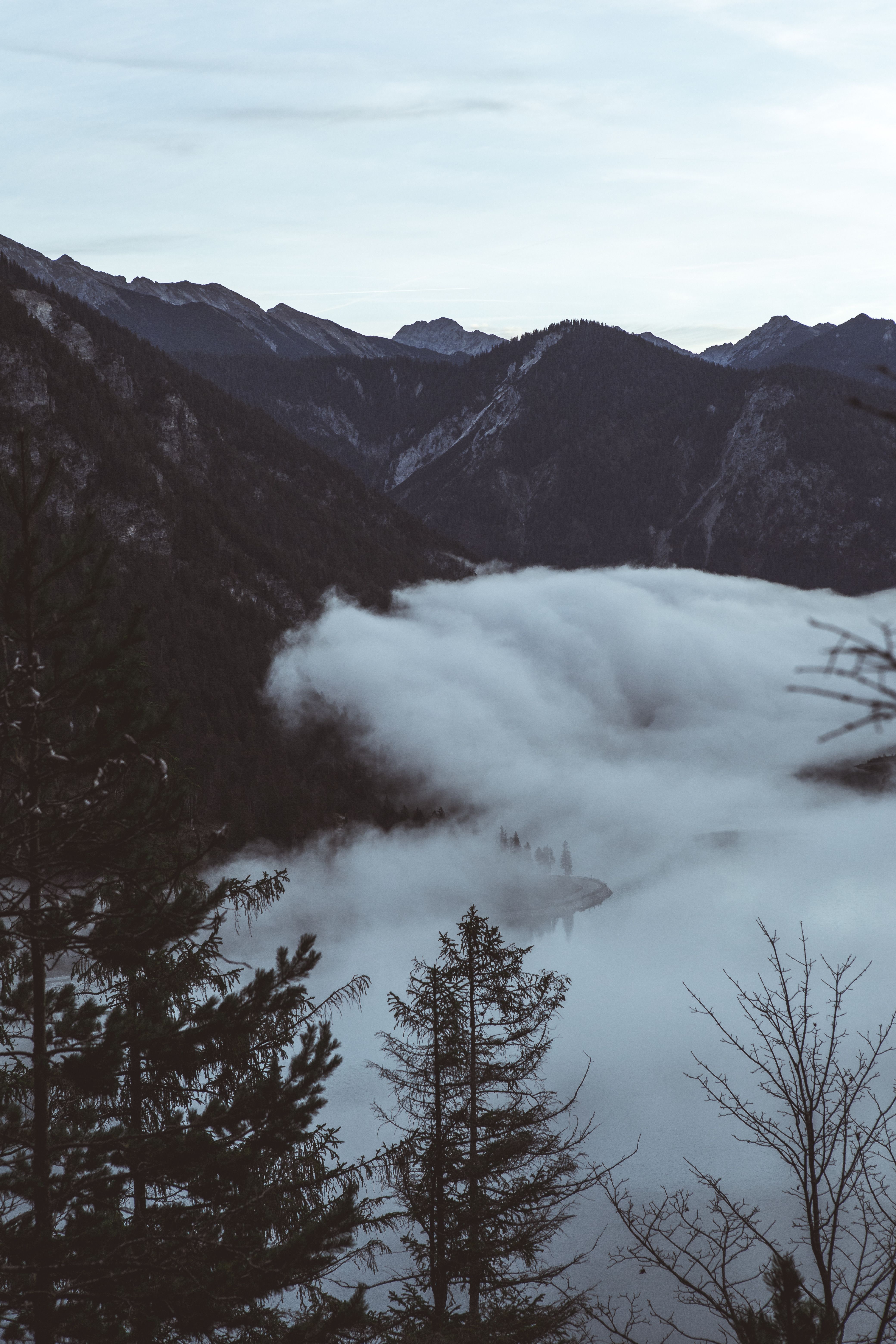 Fog Covering Valley · Free Stock Photo